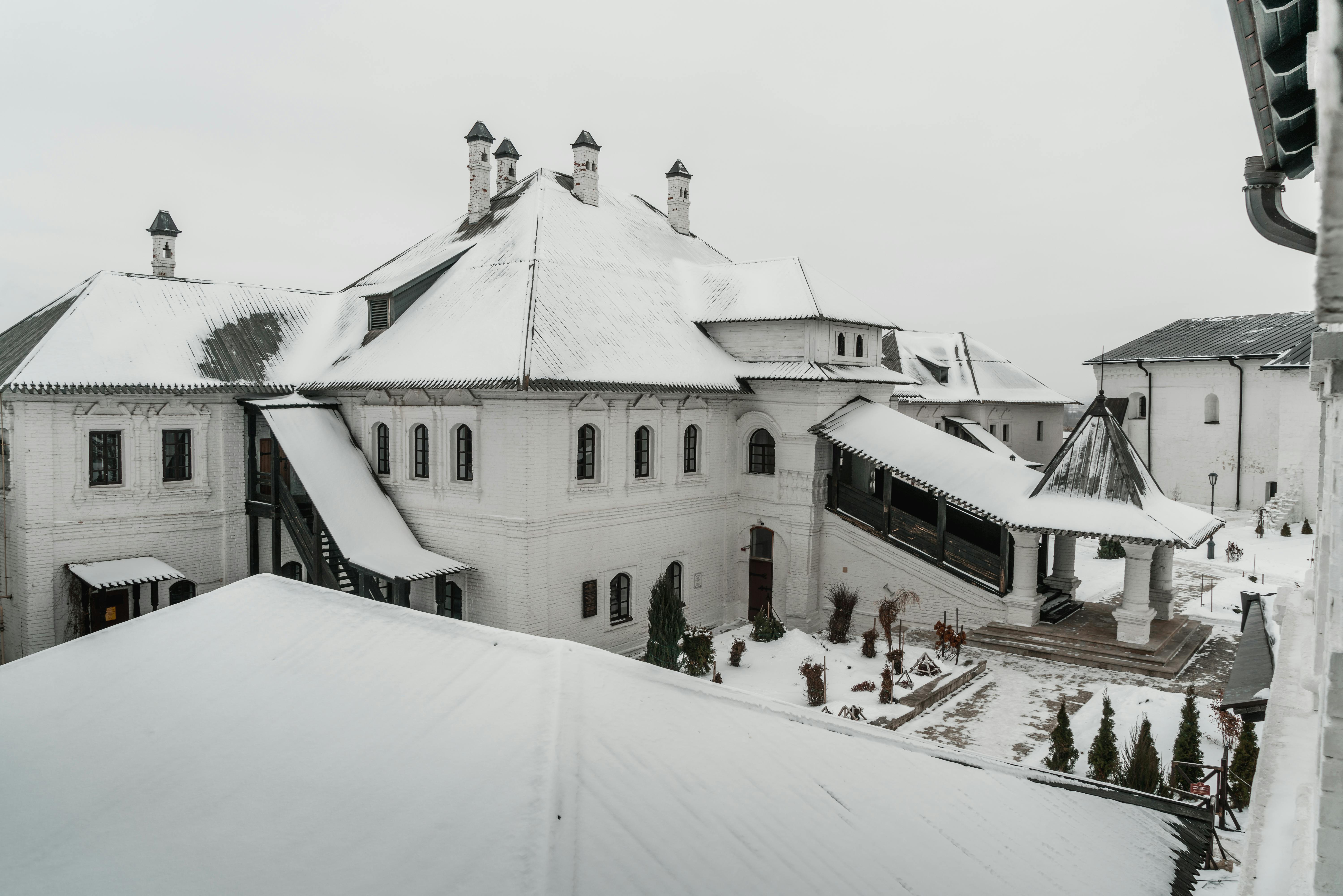 Swans in Lake near Old Mansion with Columns · Free Stock Photo