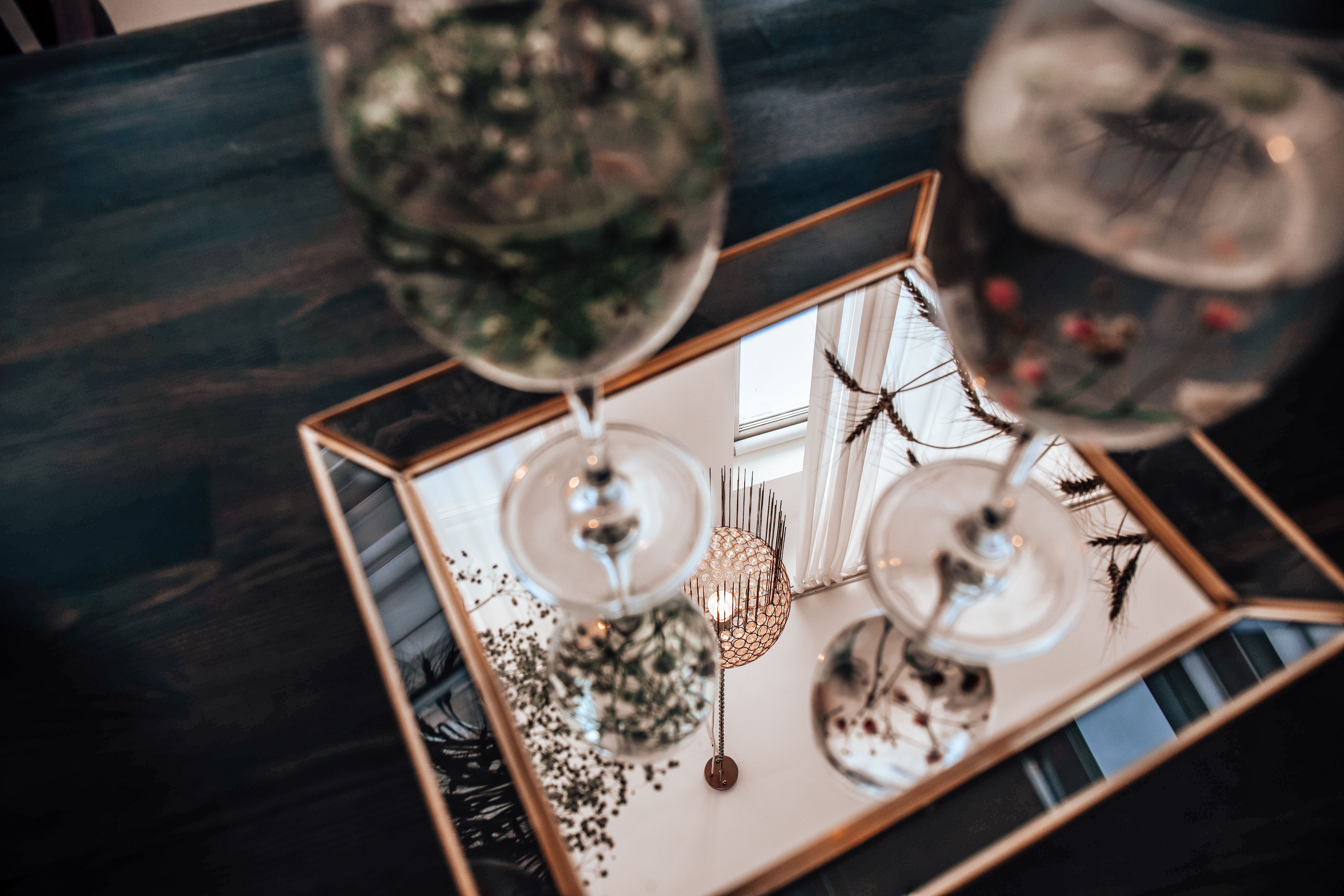 Green Plants reflection on a Mirror · Free Stock Photo