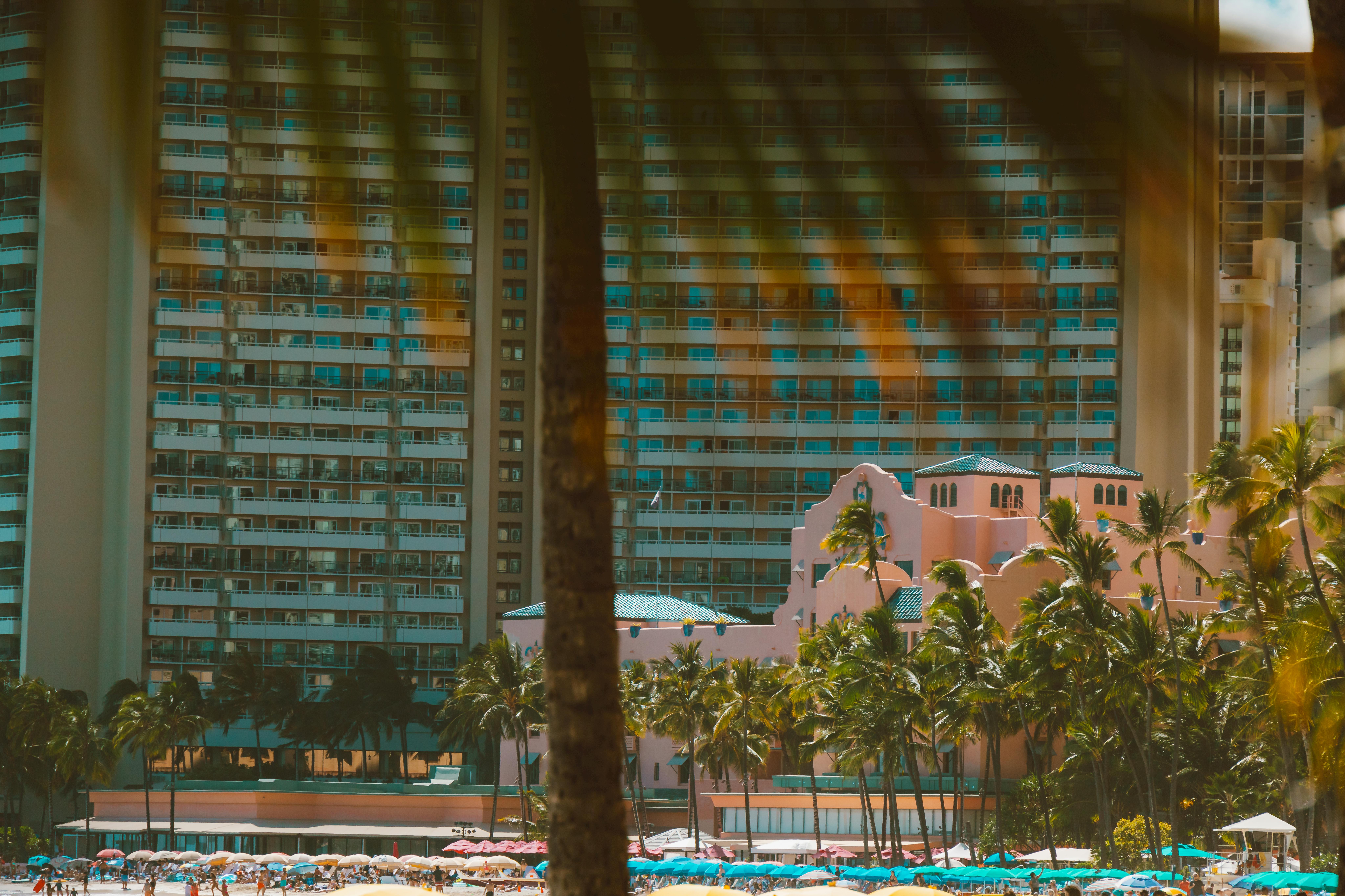 Palm Trees and Building around Beach · Free Stock Photo
