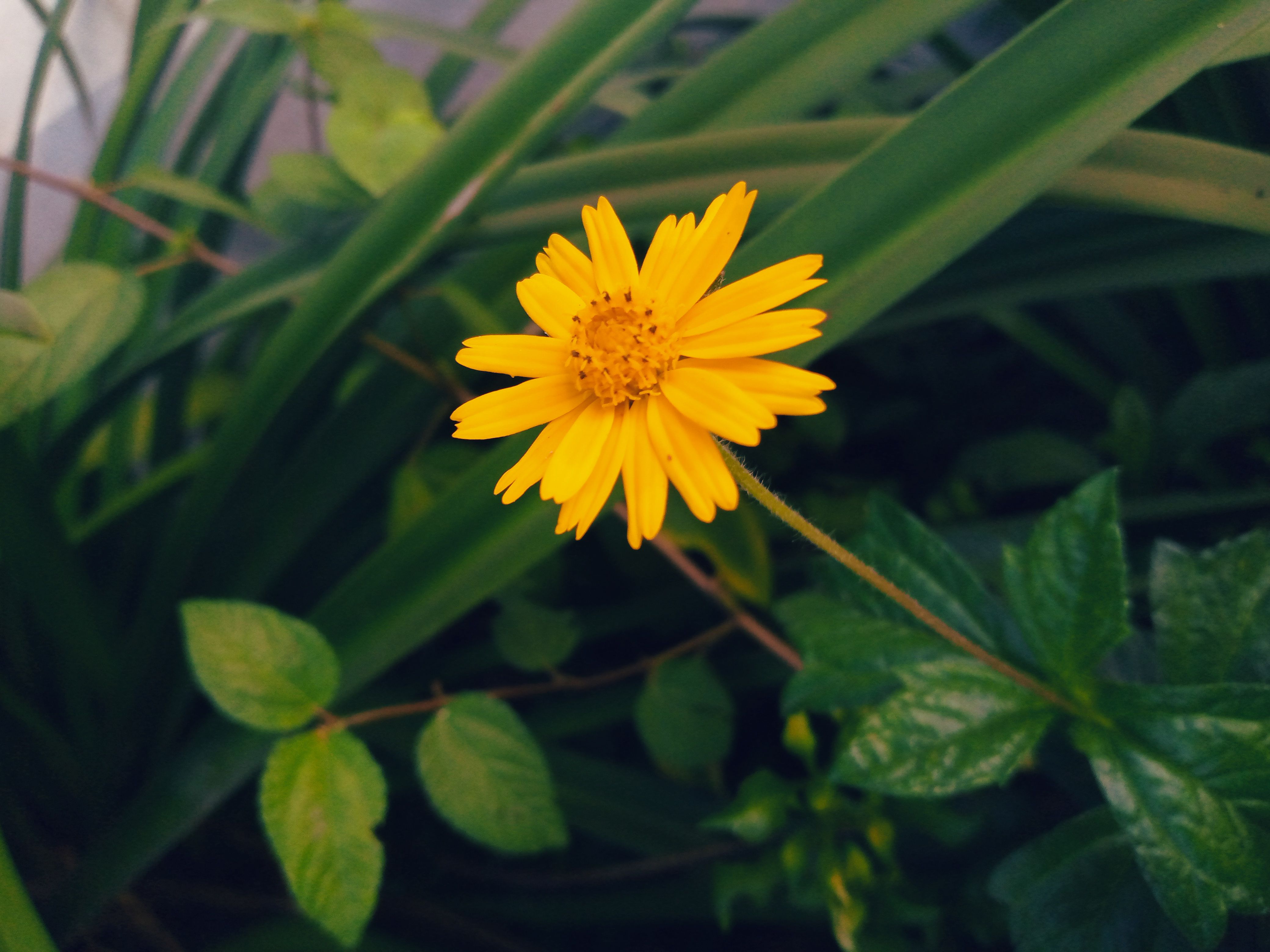 Eddiu Sunza - Photography