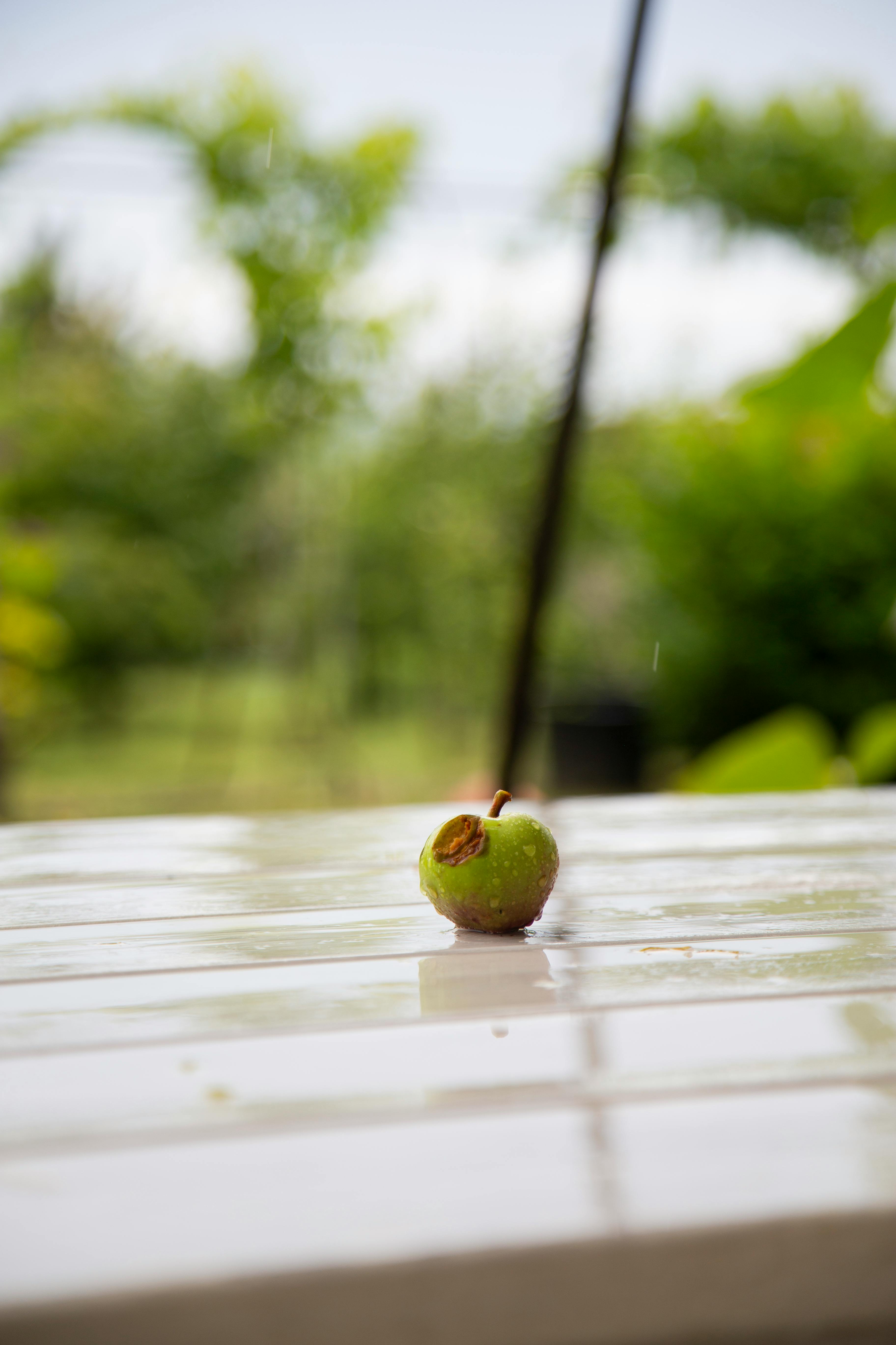 Blemished Photos, Download The BEST Free Blemished Stock Photos & HD Images