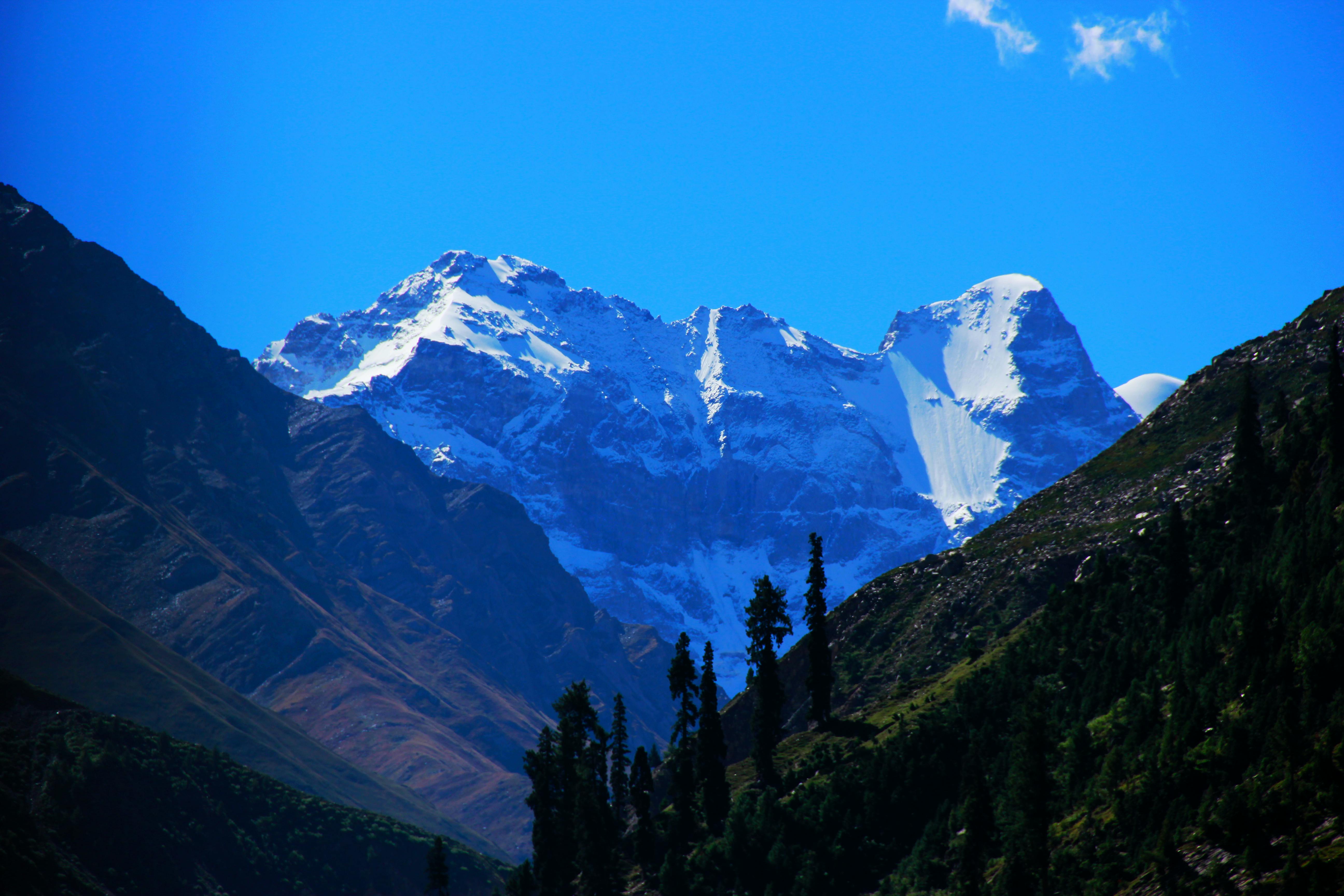 Free stock photo of Outdoor Photo Challenge