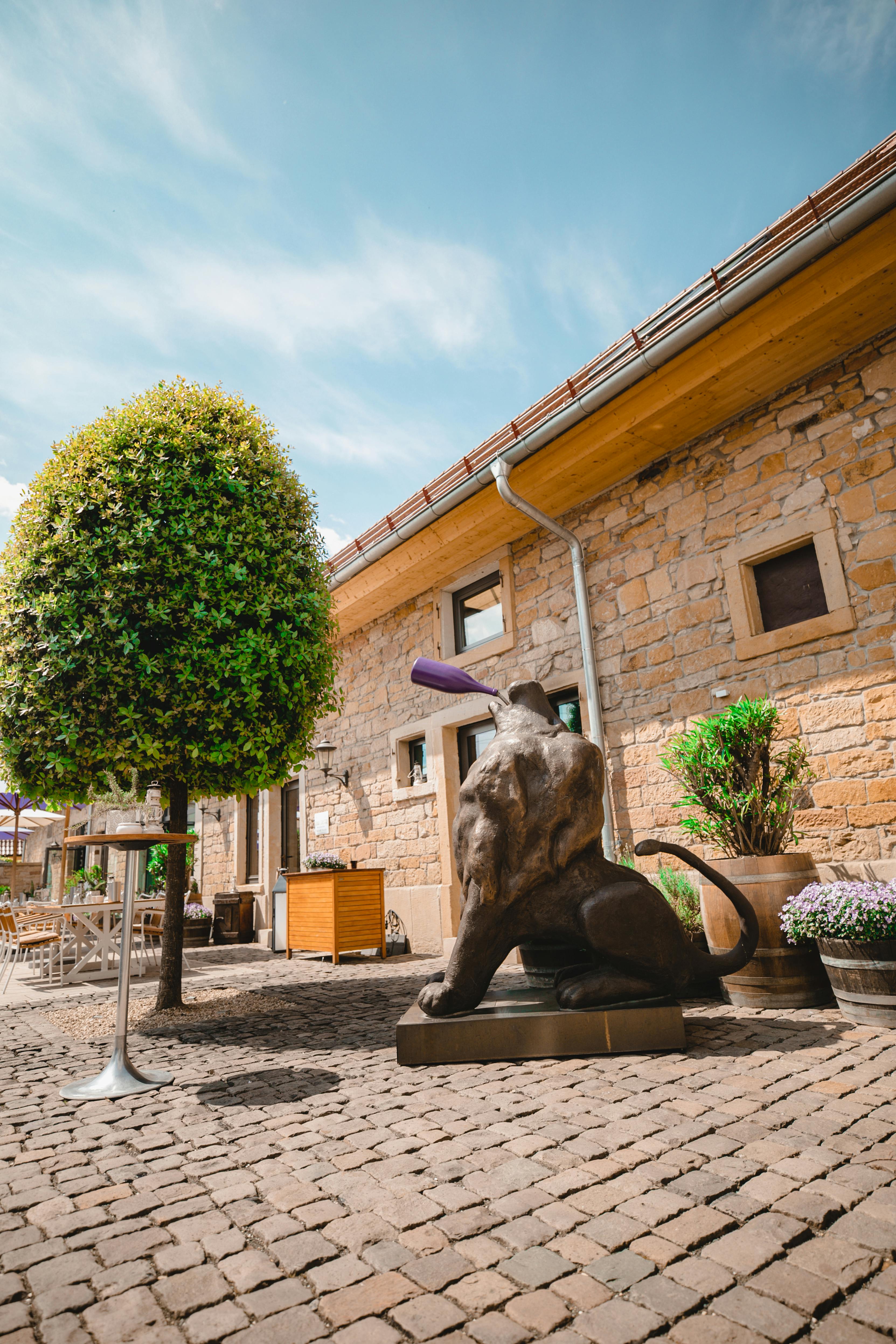 Golden Gandhi Statue in Town · Free Stock Photo
