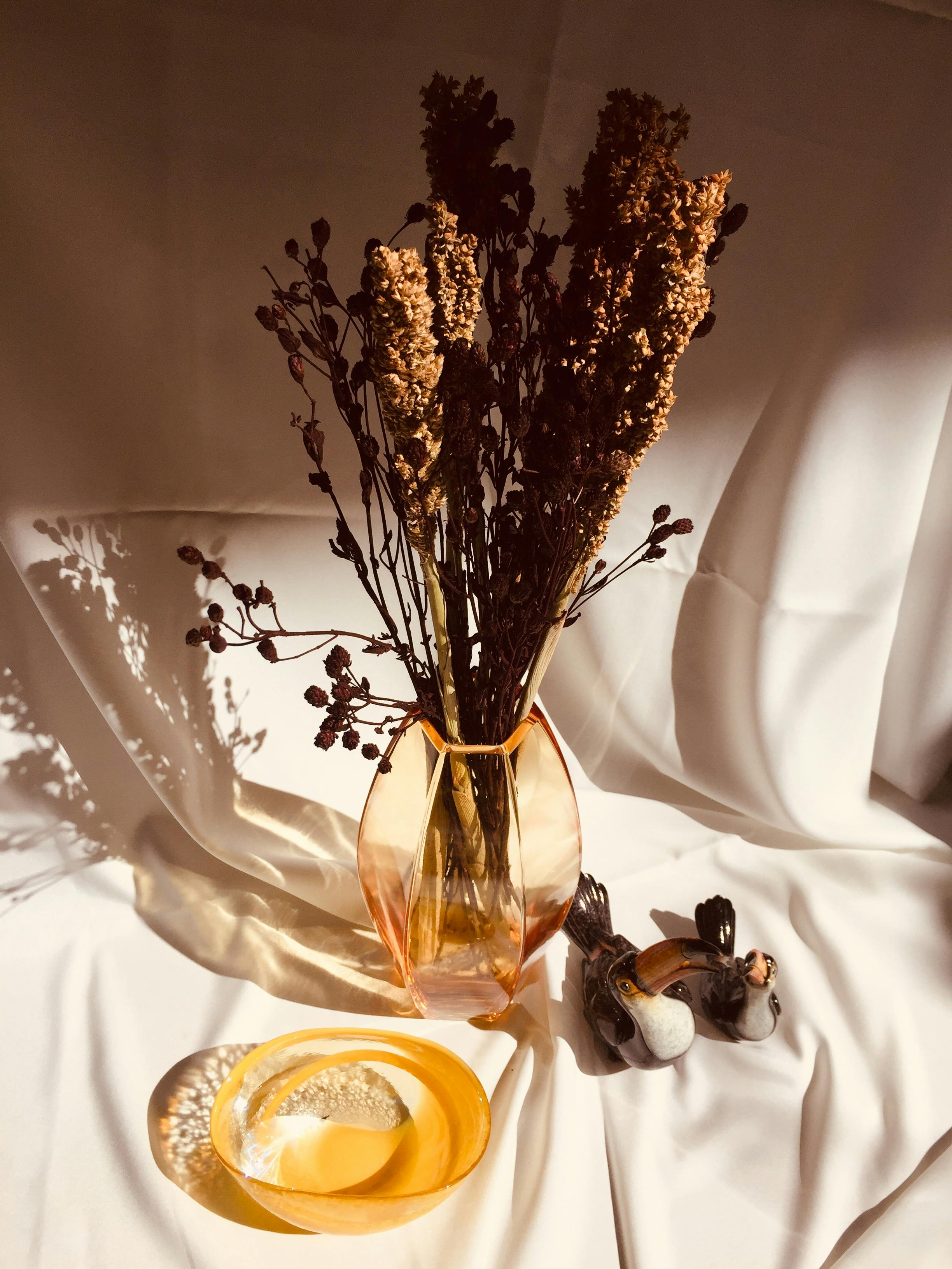 Aristic Composition with Drapery · Free Stock Photo