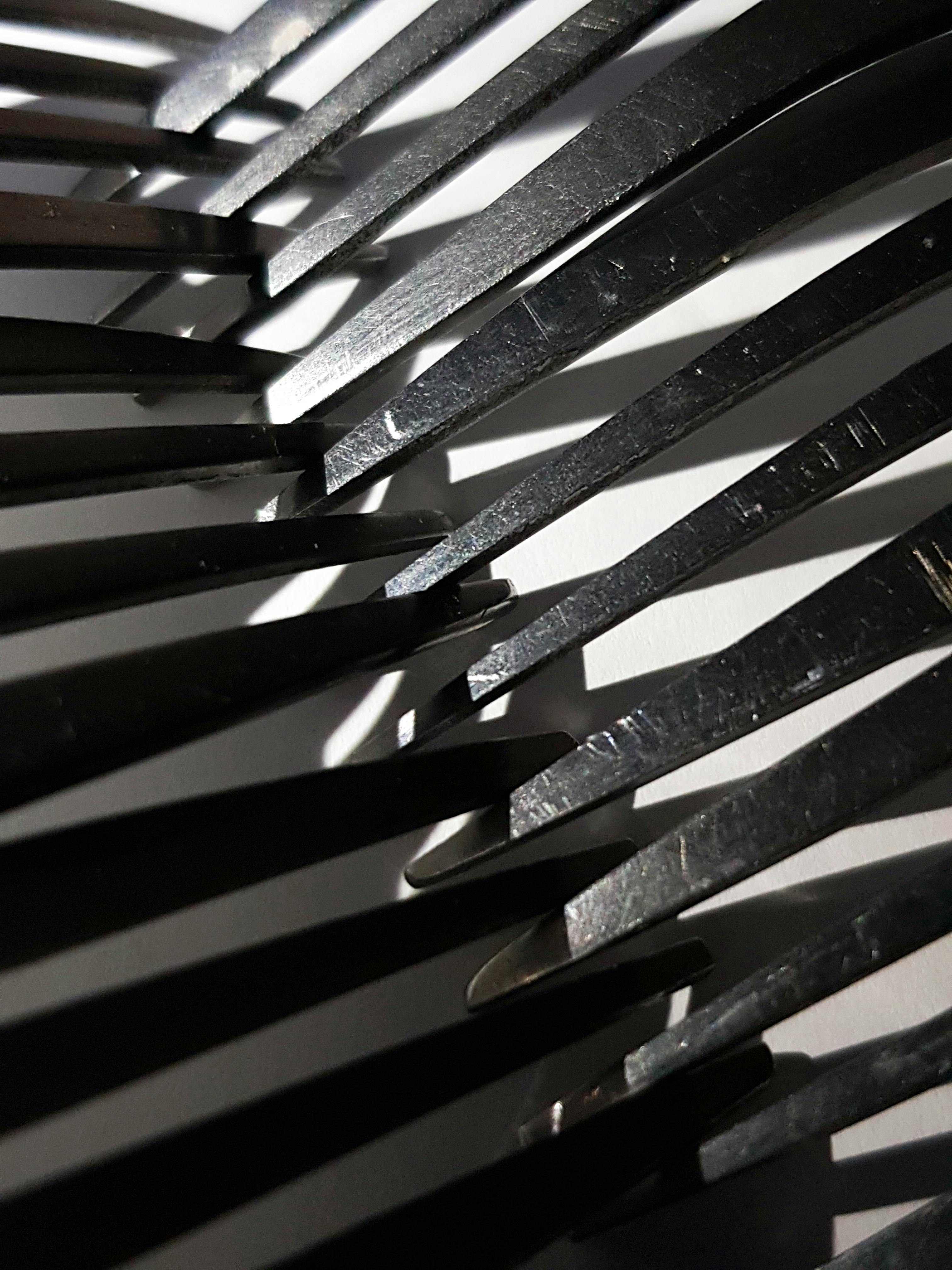 Samuel Wong - Fotografi