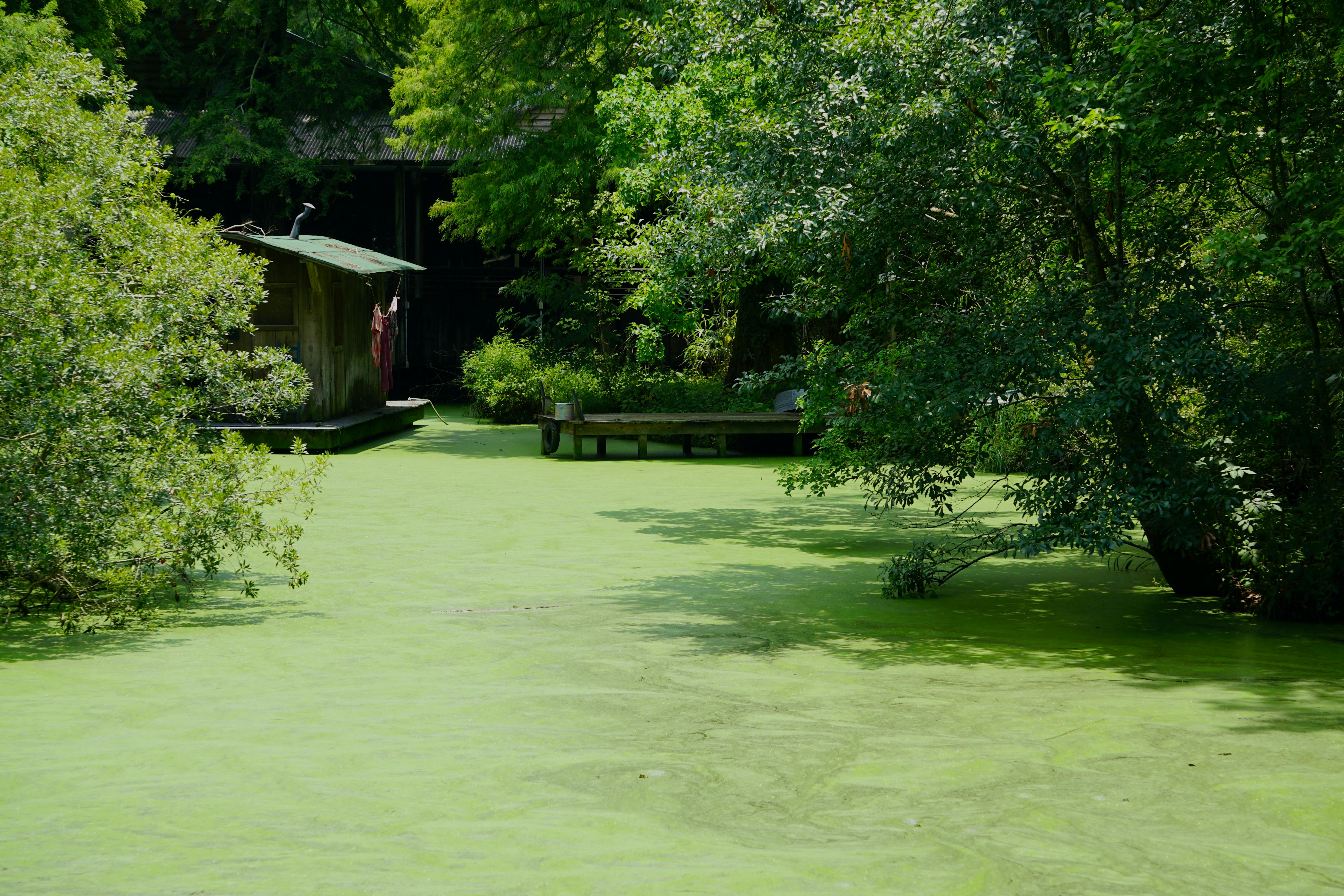 Cesar Aguilar · Photography