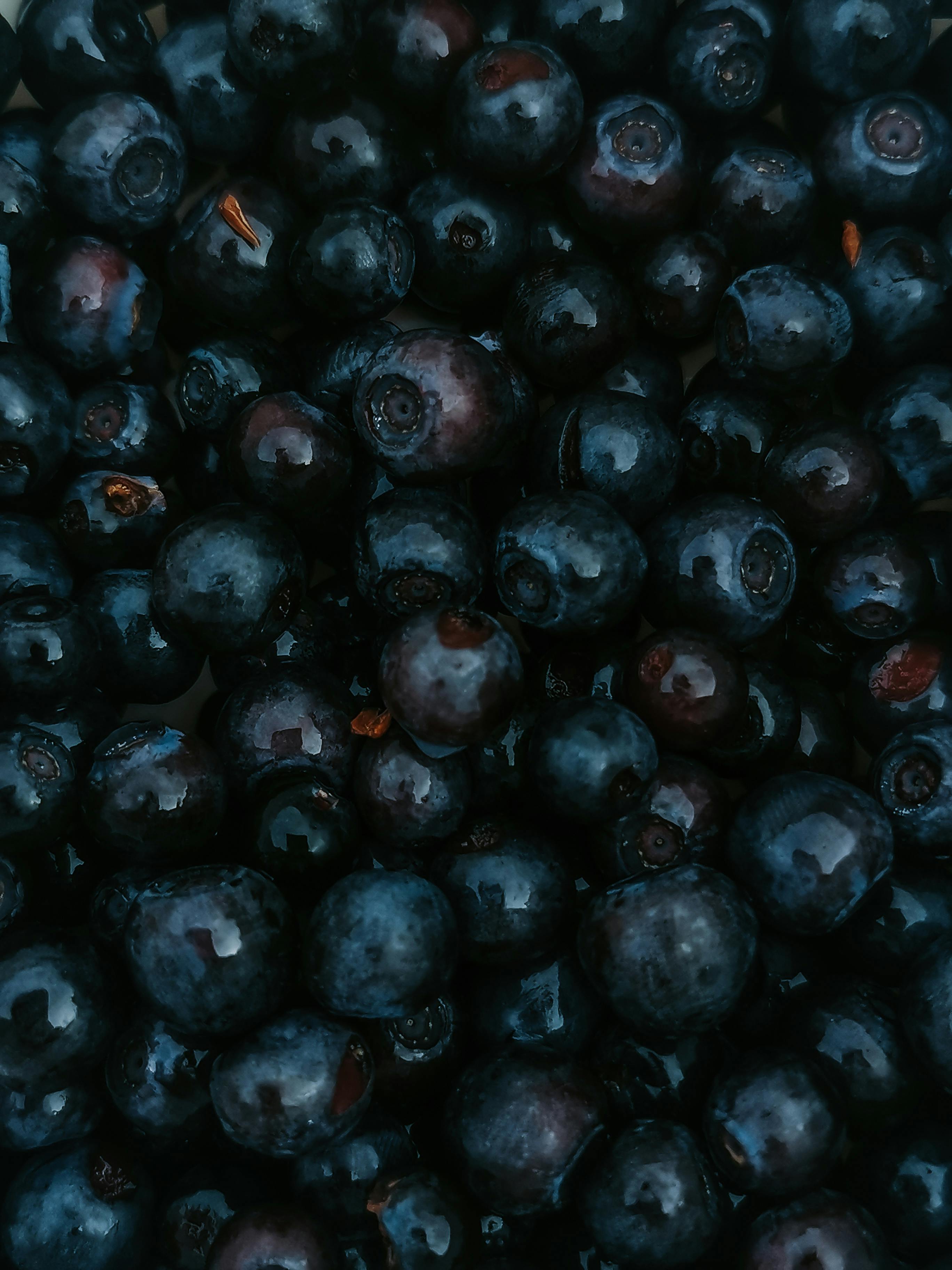 Blueberries in Close Up Photography · Free Stock Photo