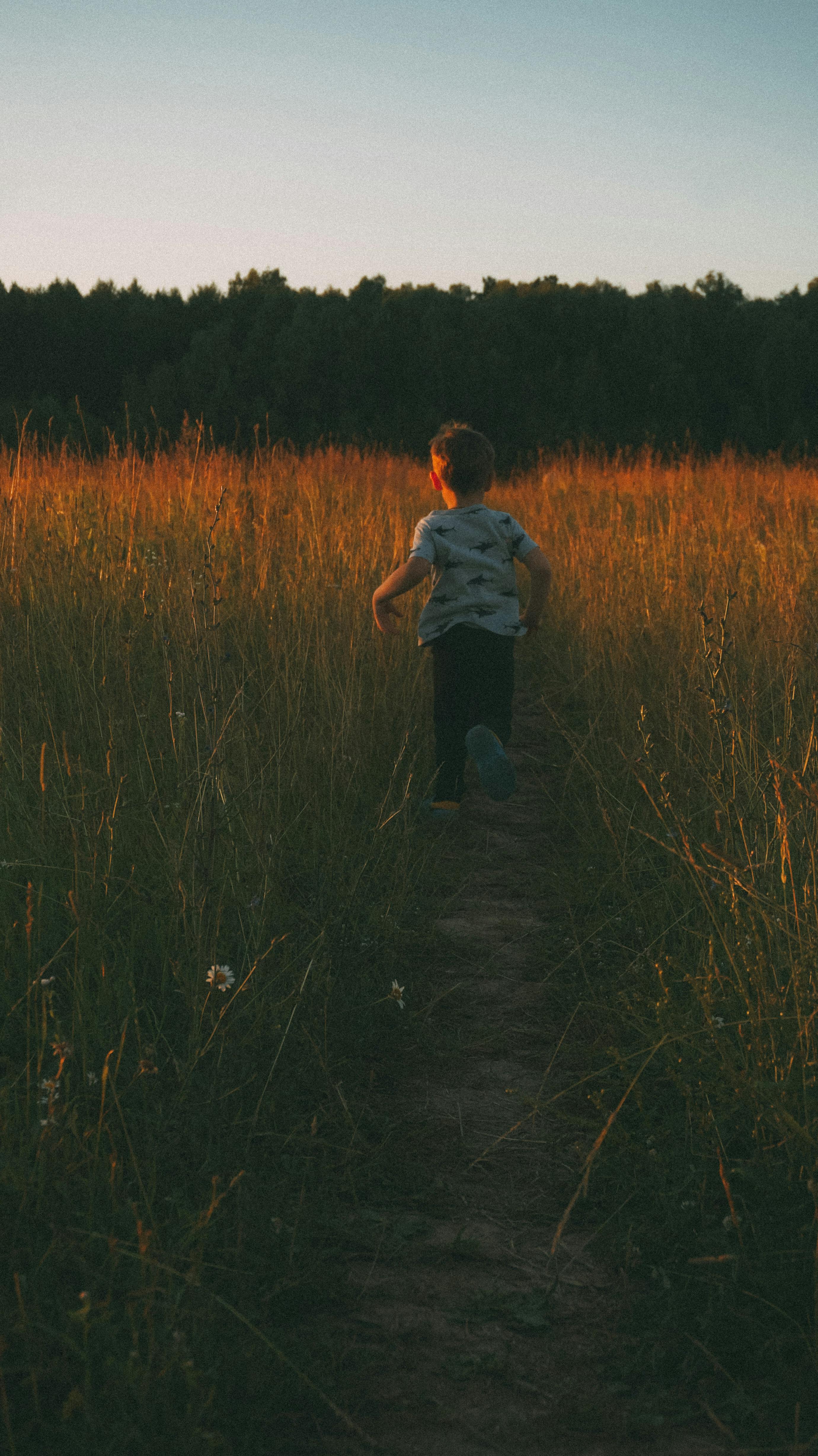 Child Walking on the Pathway on Green Grass Field · Free Stock Photo