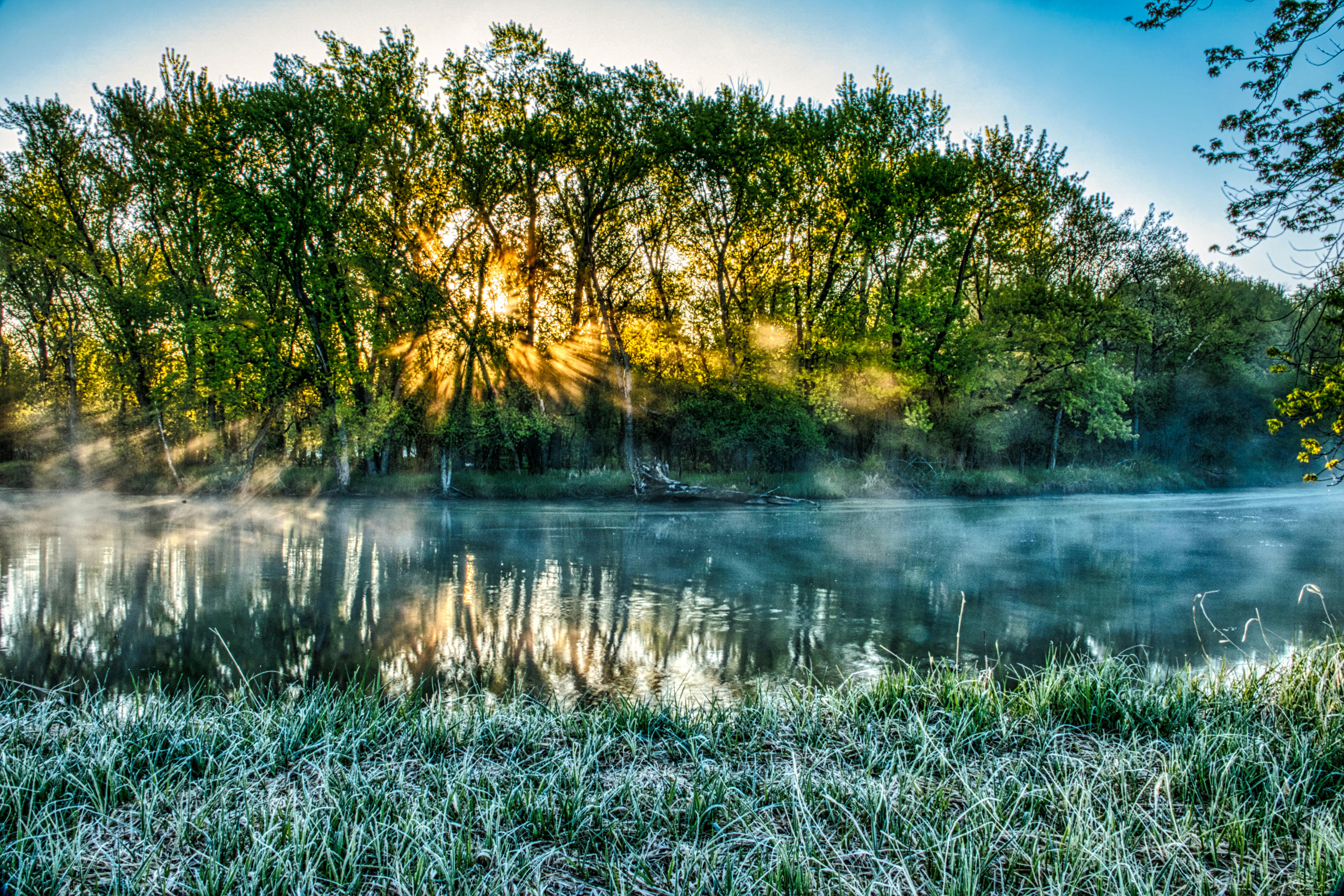 A Lake Near Green Field with Trees · Free Stock Photo
