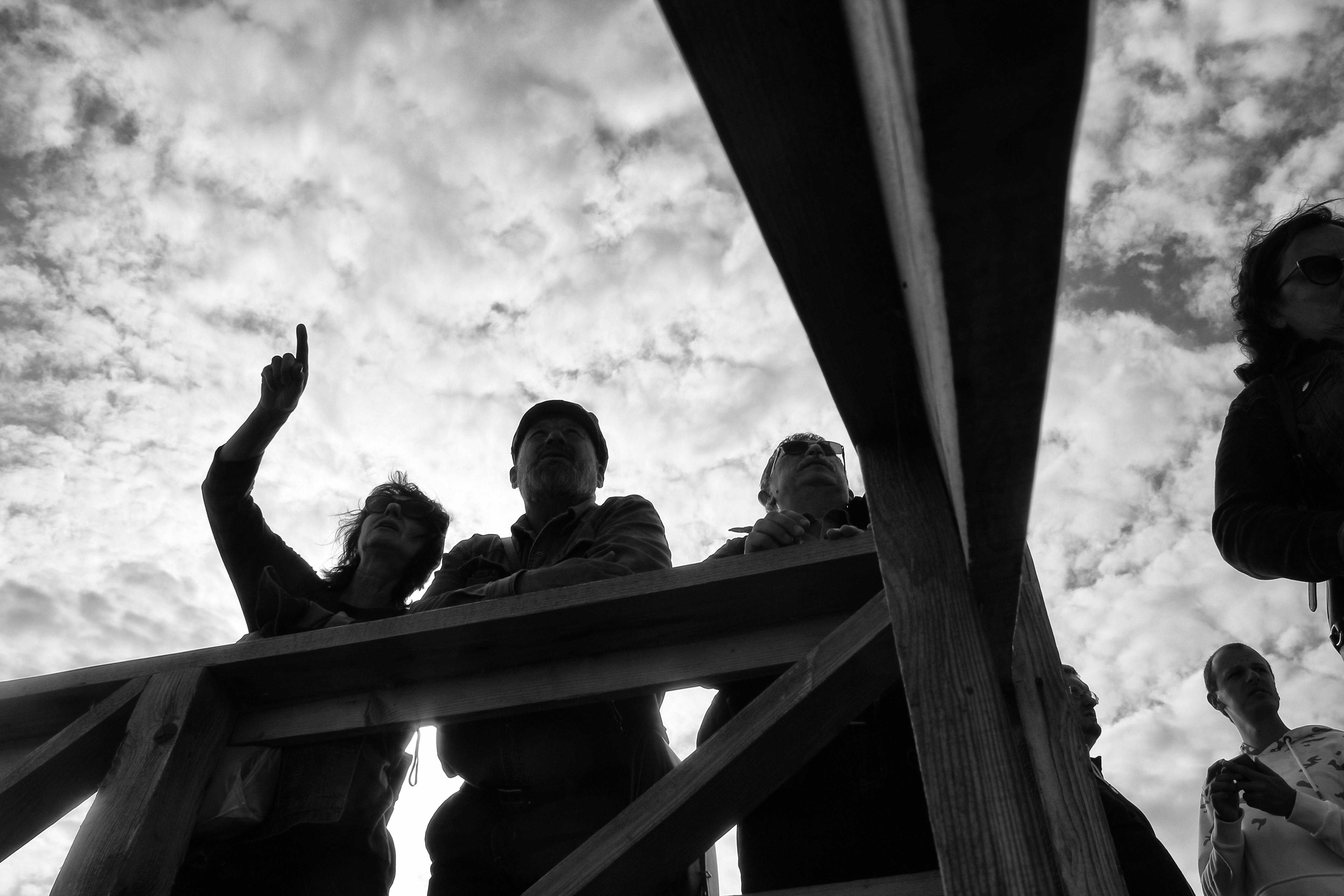 Finger Pointing Line in Book · Free Stock Photo