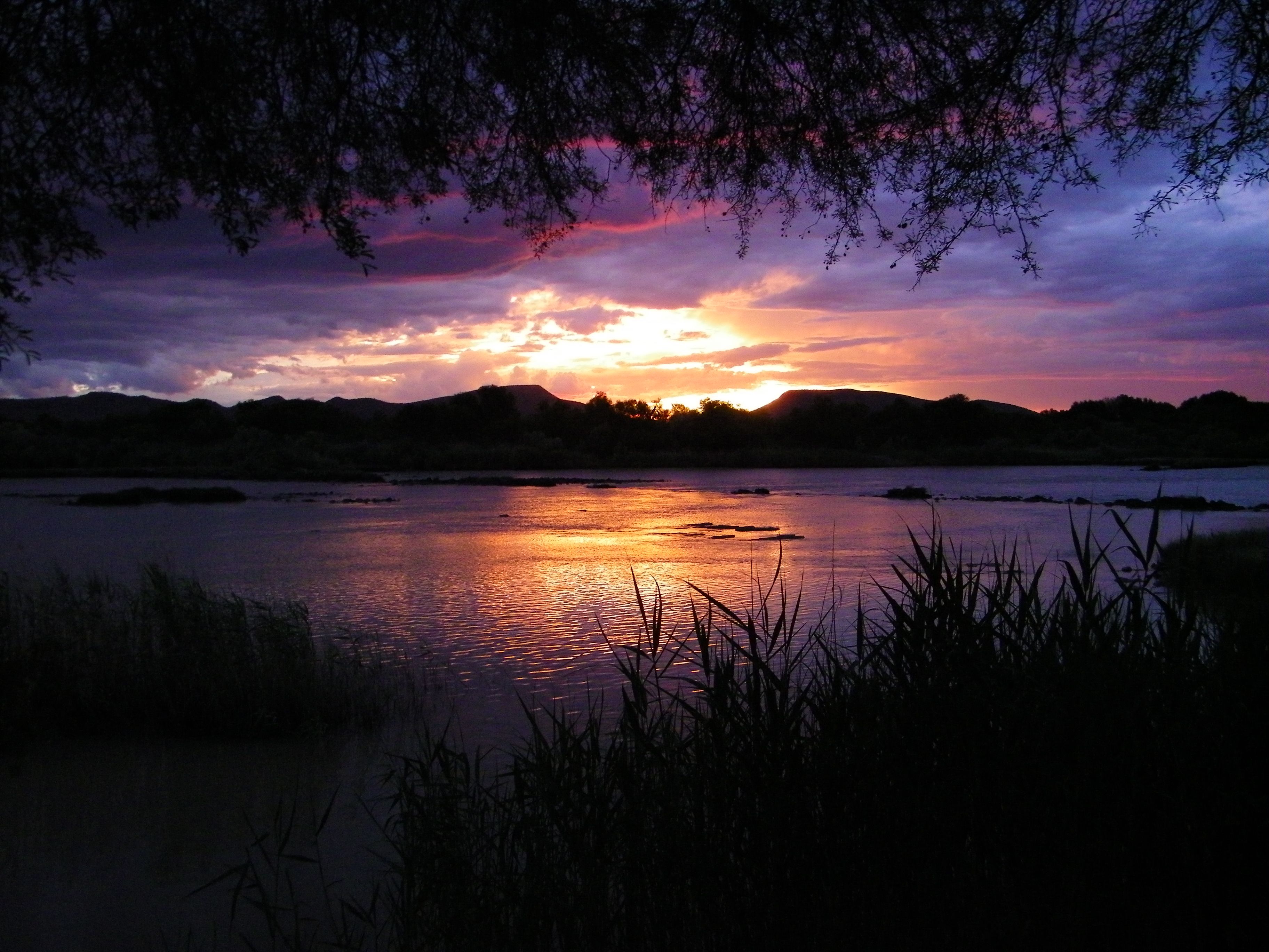 Purple Sunset over Lake · Free Stock Photo