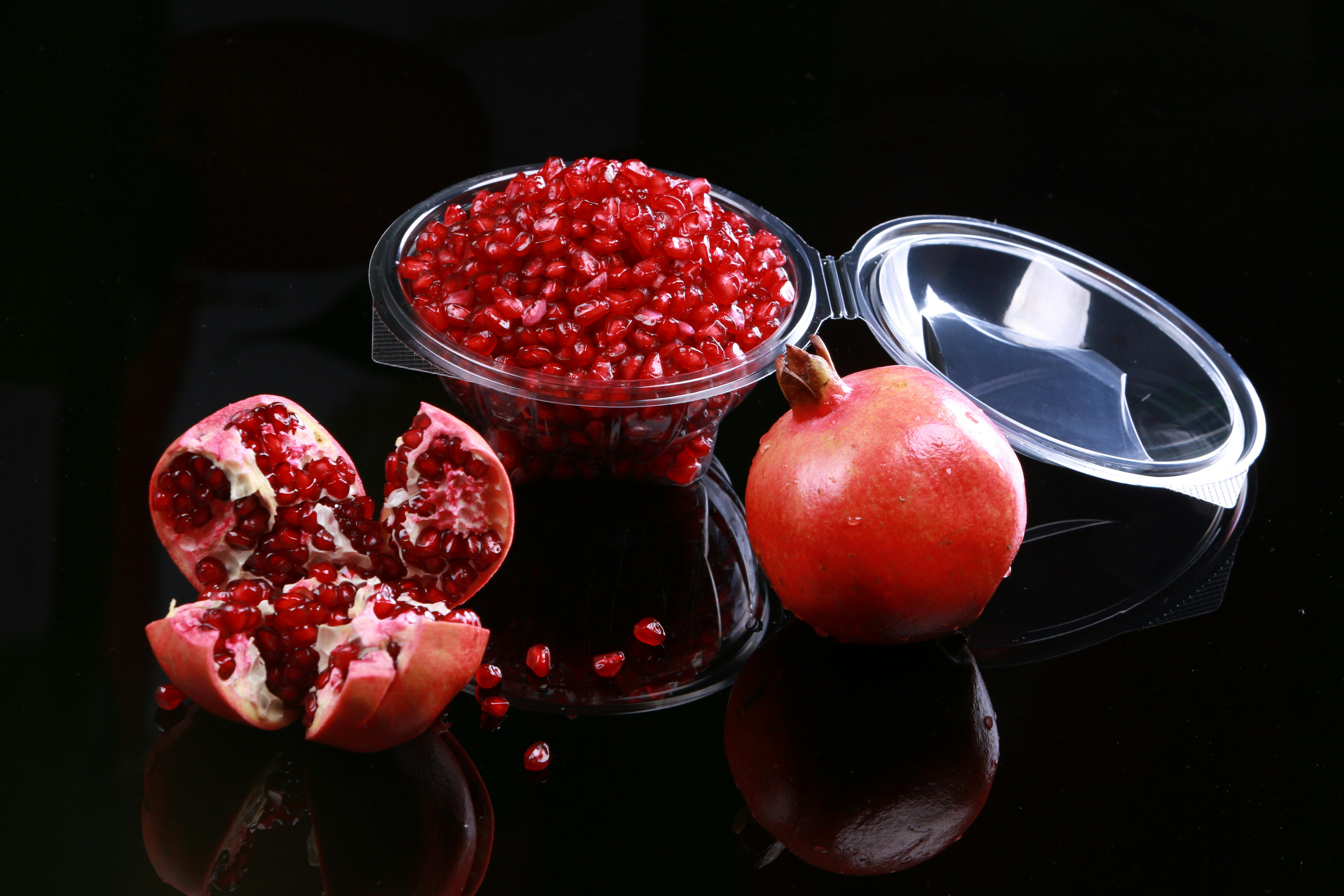 Dr ADEL – fotografia