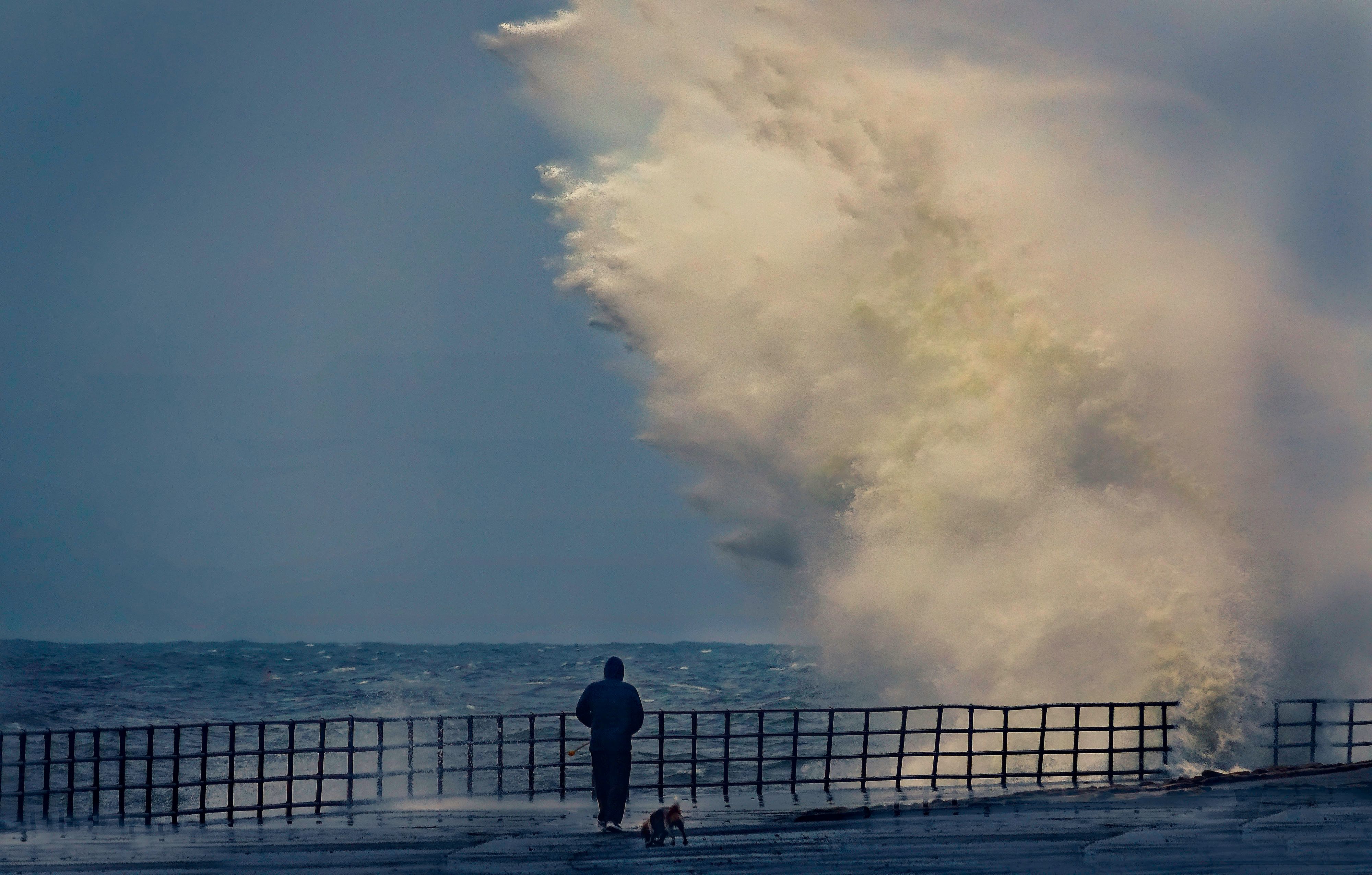 Person Watching Wave Crash onto Shore · Free Stock Photo