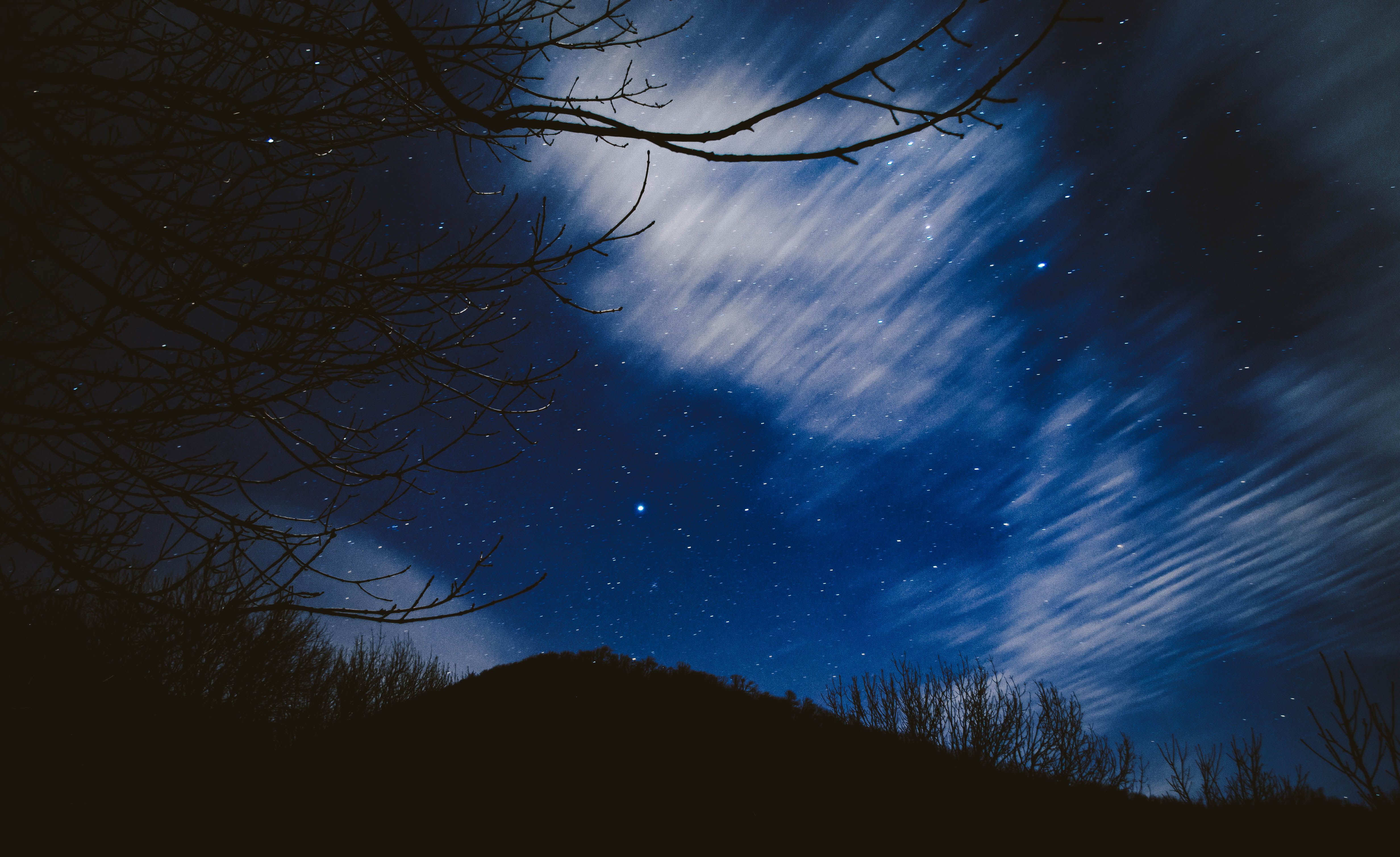 Scenic View of the Starry Night · Free Stock Photo
