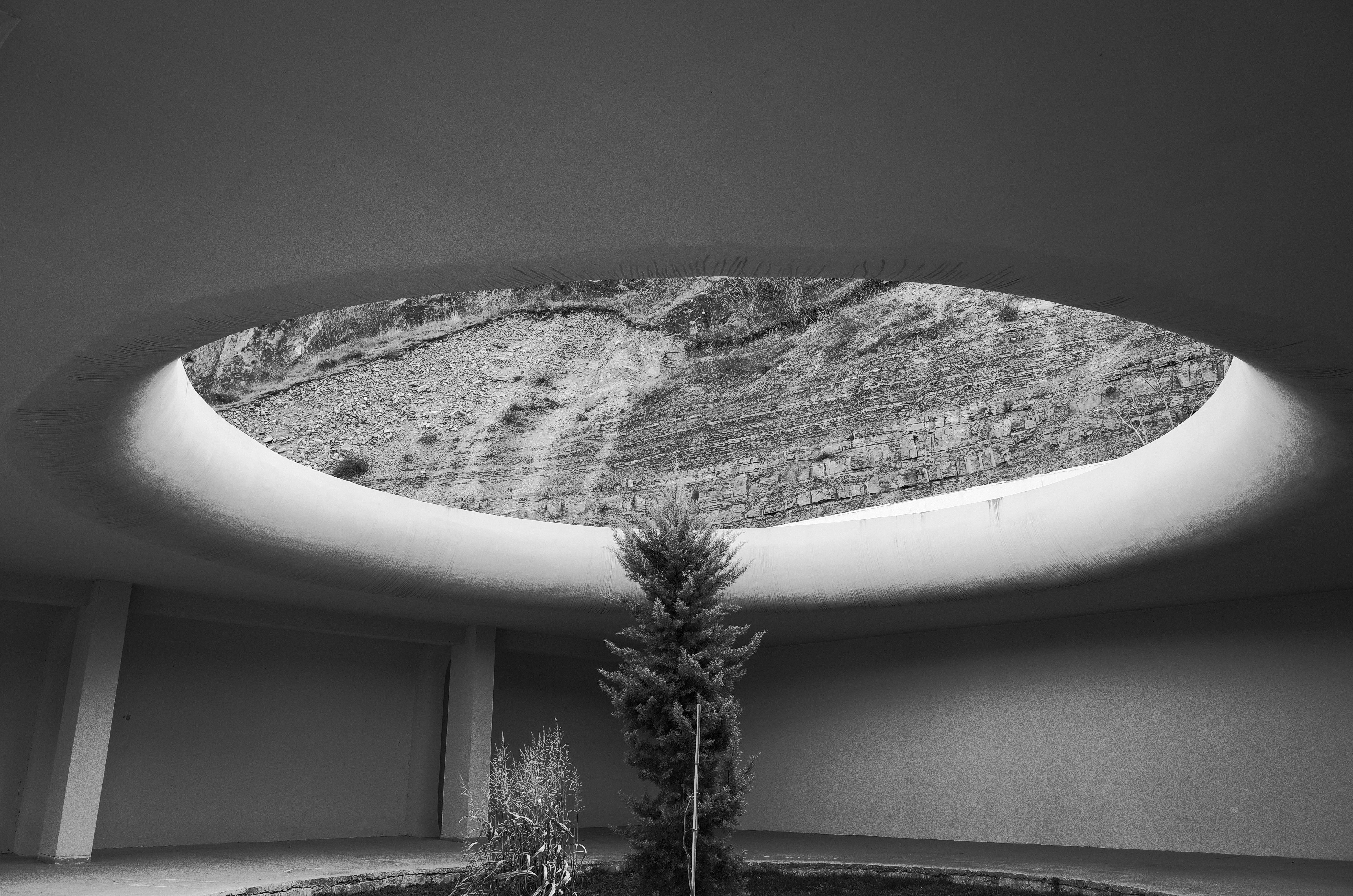 Ceiling Photos Photos, Download The BEST Free Ceiling Photos Stock ...