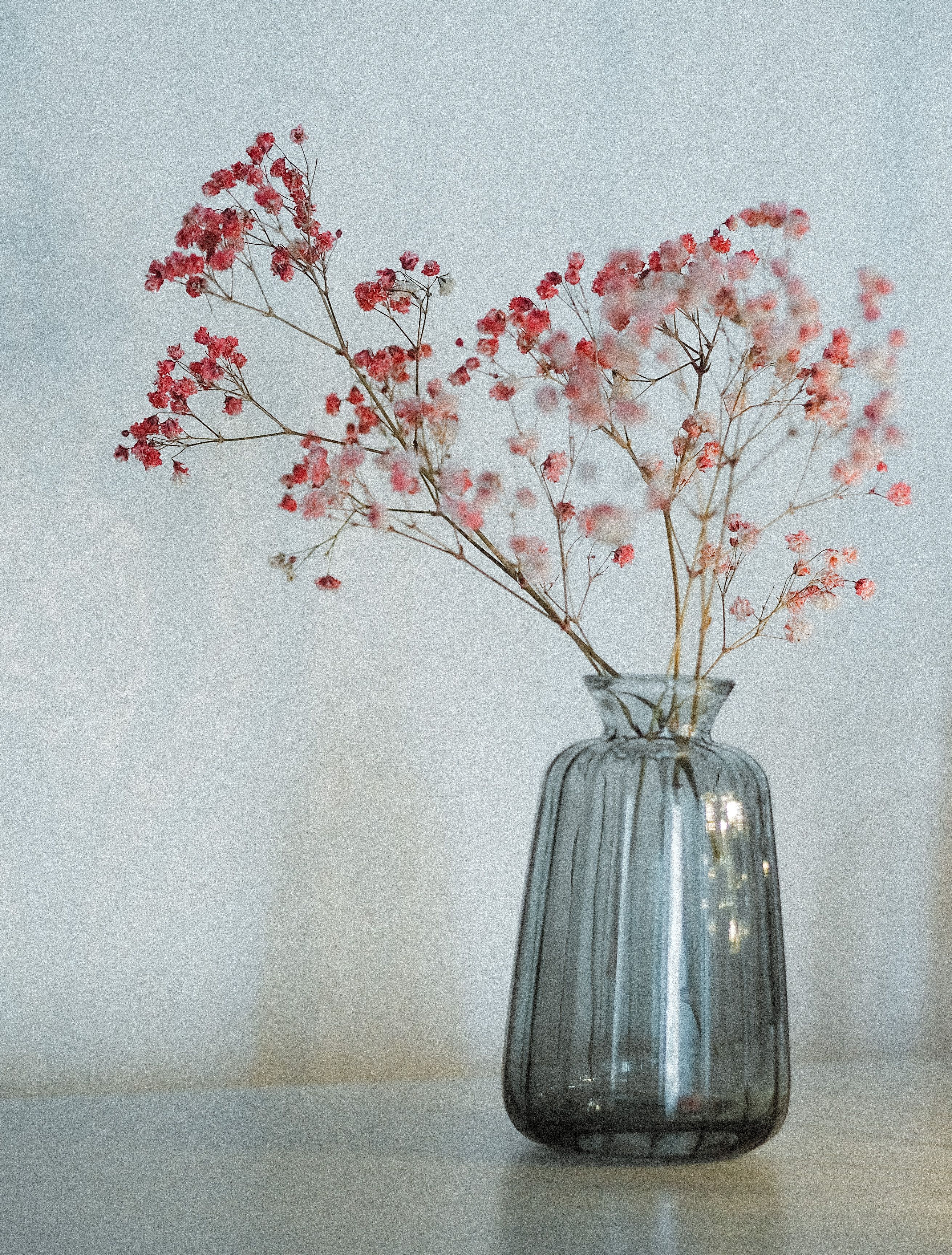 A Flowers in a Glass Vase · Free Stock Photo