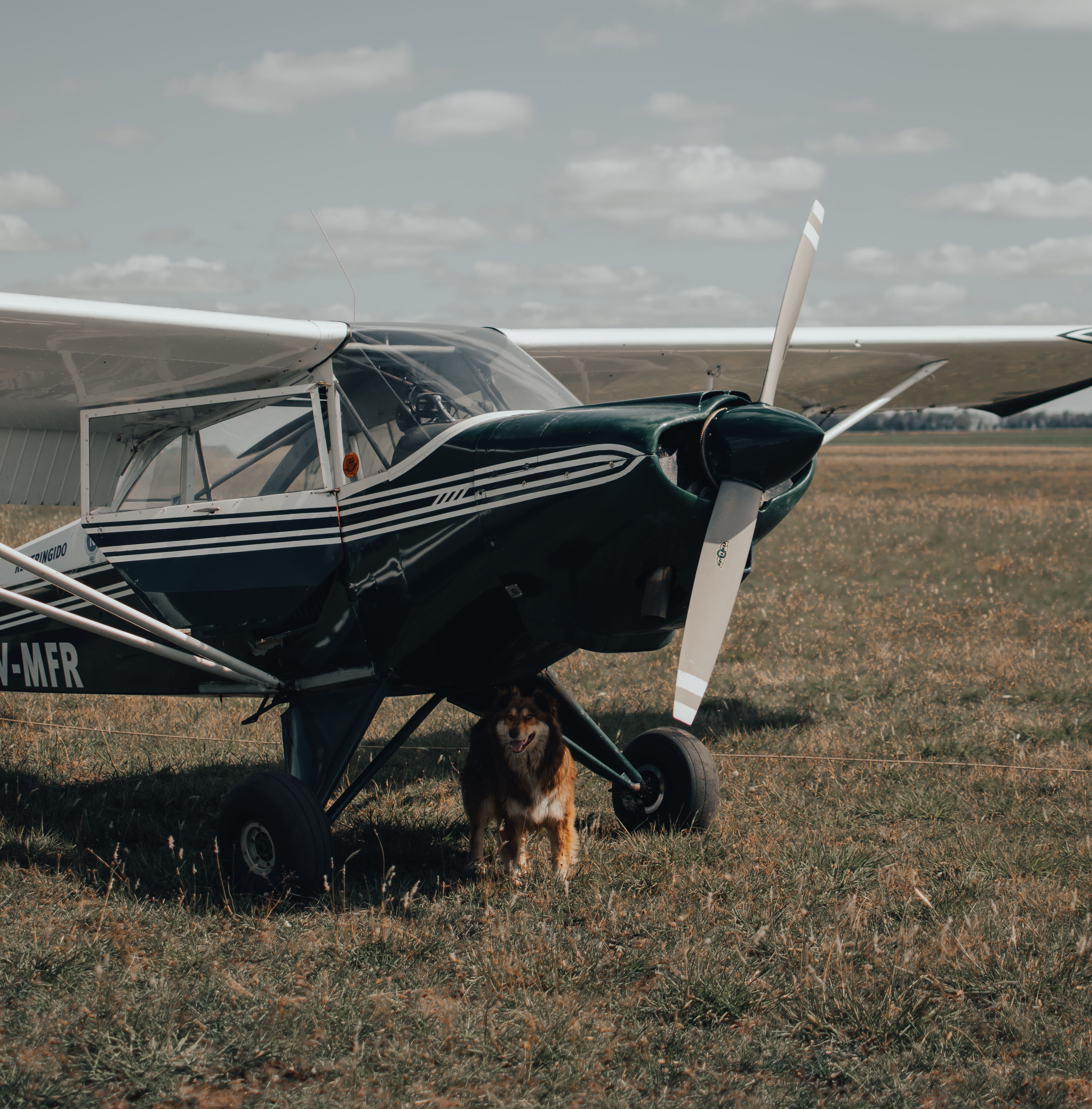 Animated Airplane Photos, Download The BEST Free Animated Airplane ...