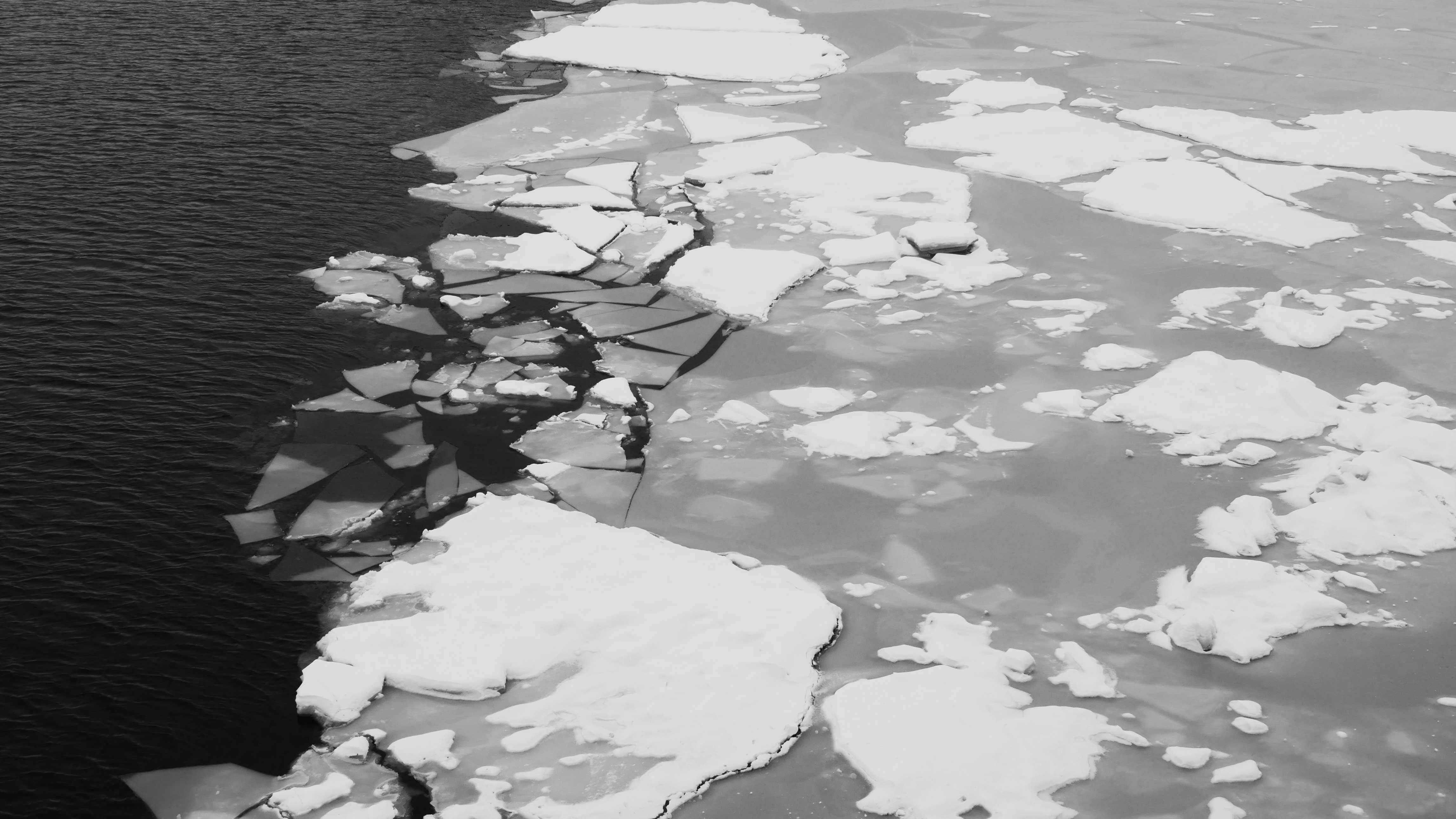 David Libeau - Photography