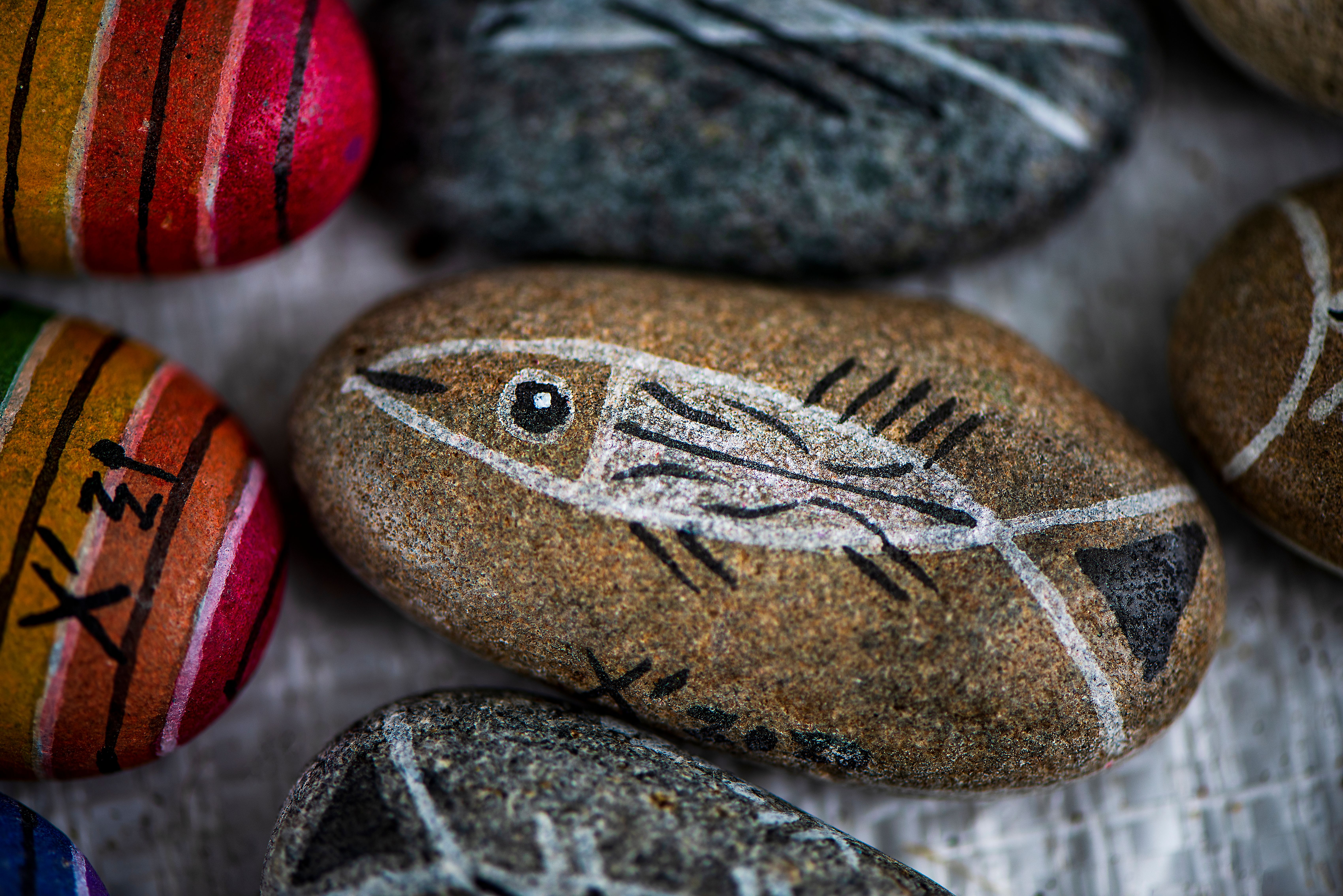 A Painted Stone In Close Up View · Free Stock Photo