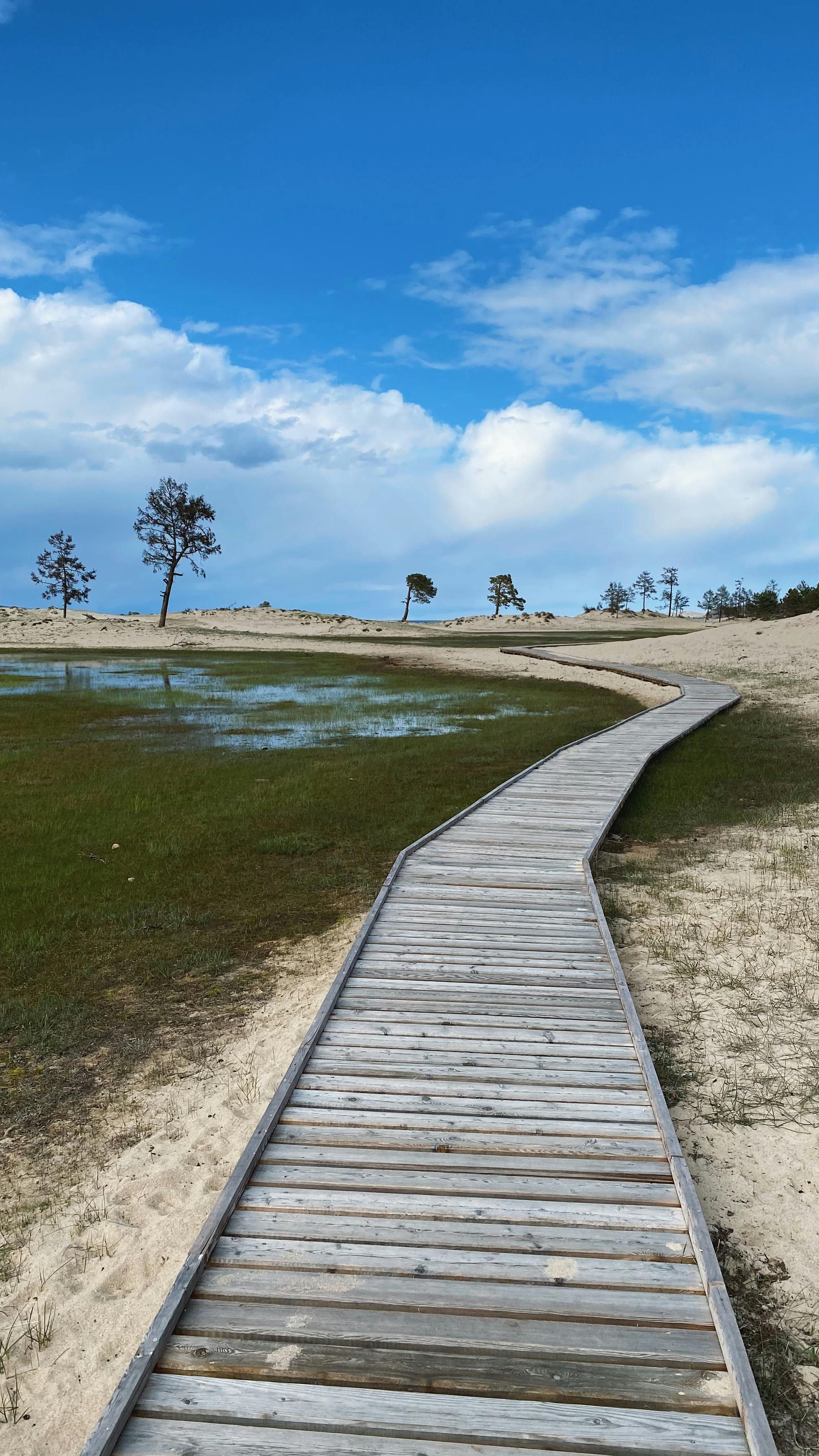 A Long Curvy Boardwalk on Sand with Green Grass · Free Stock Photo
