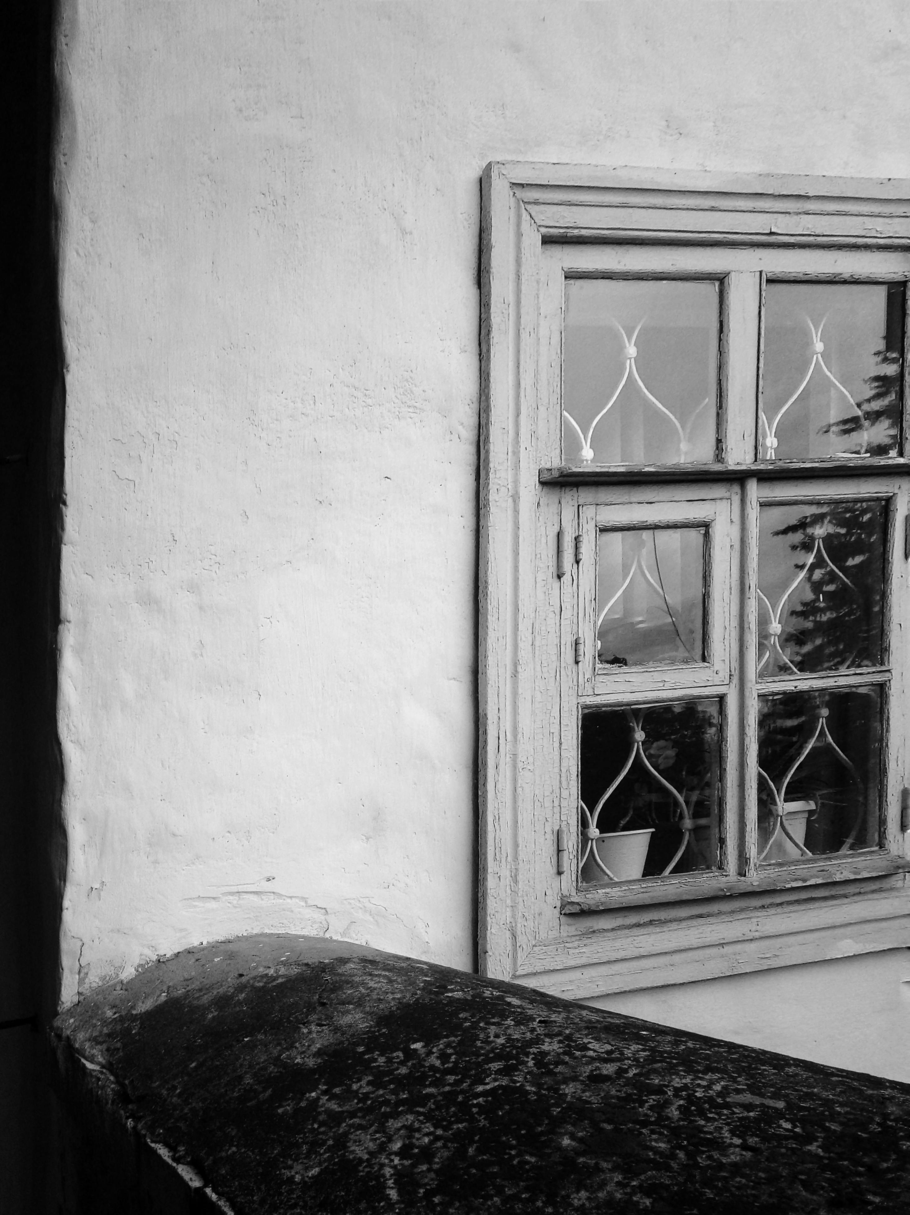 Products on Shelves behind Window · Free Stock Photo