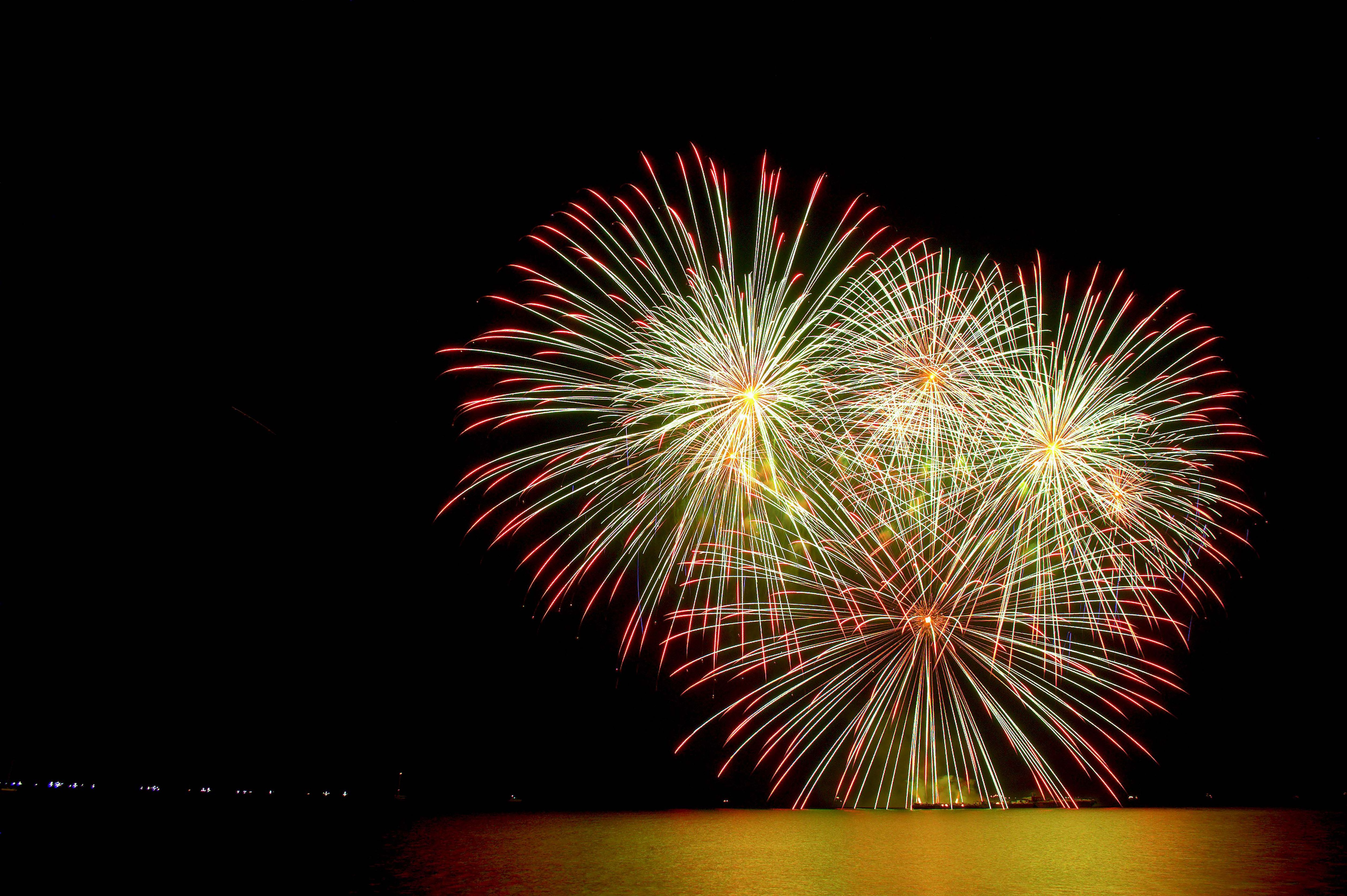 Night Sky With Fireworks Free Stock Photo
