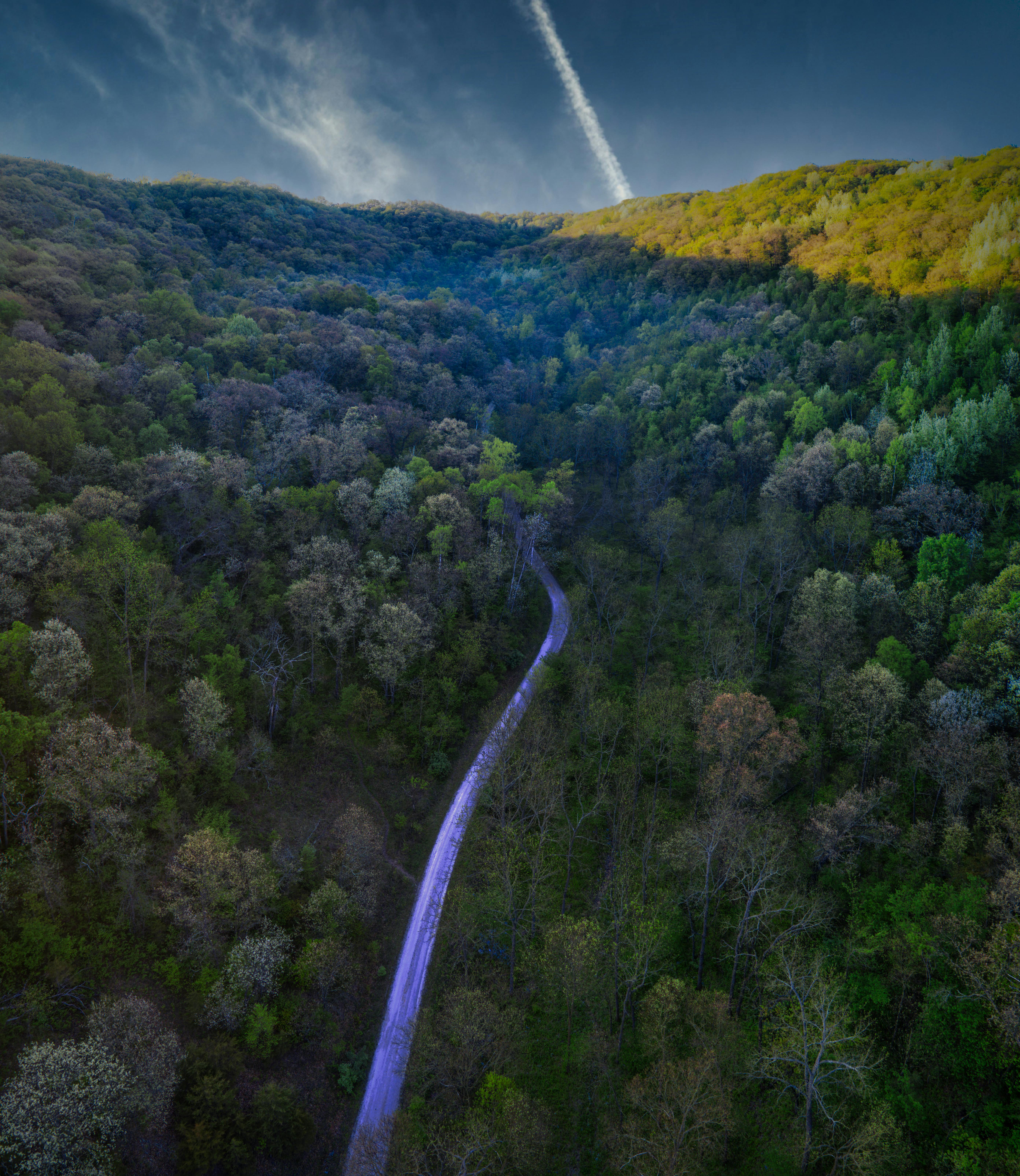 A Road Surrounded by Trees · Free Stock Photo
