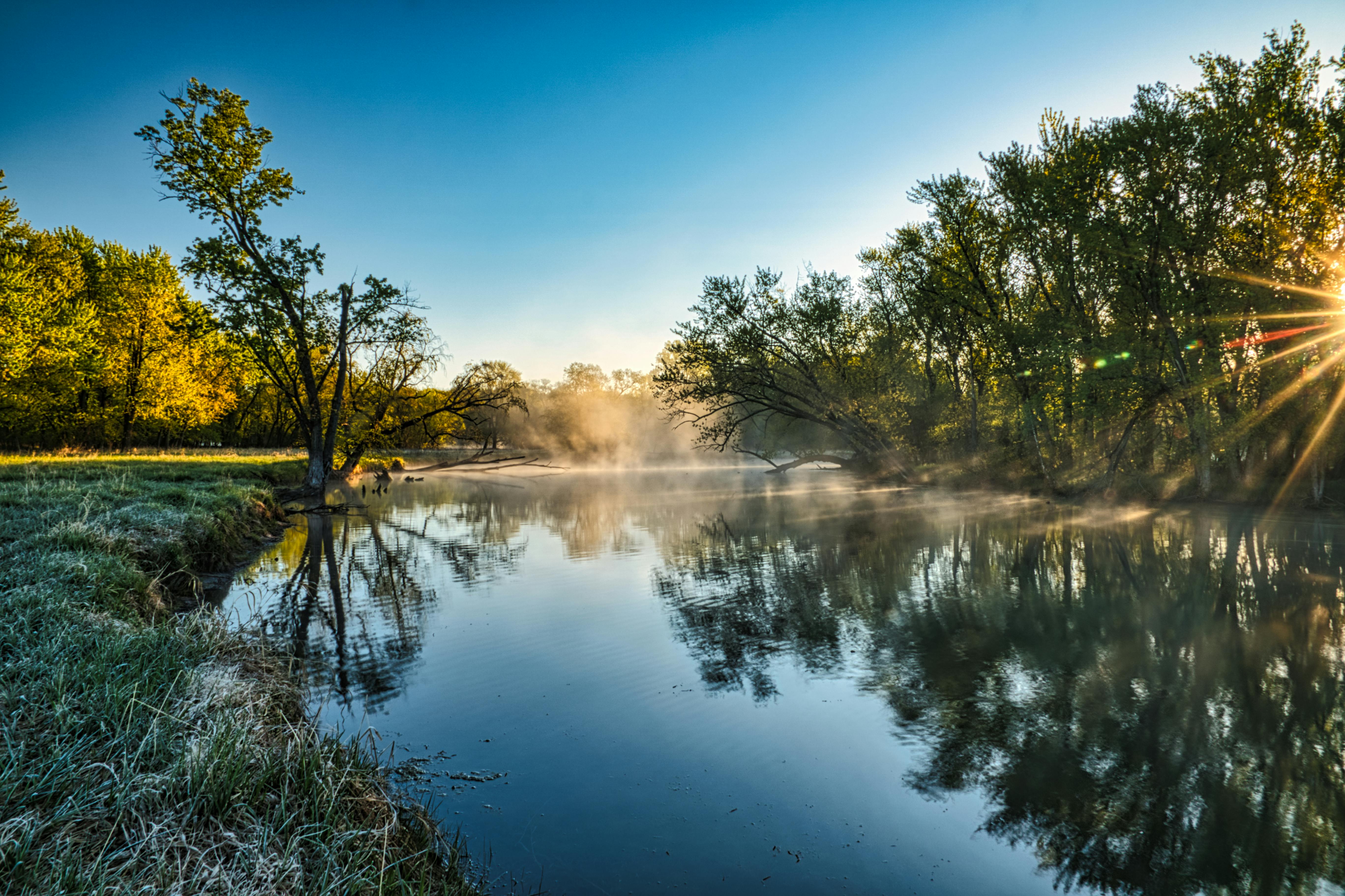 Reflection of Trees on the River · Free Stock Photo