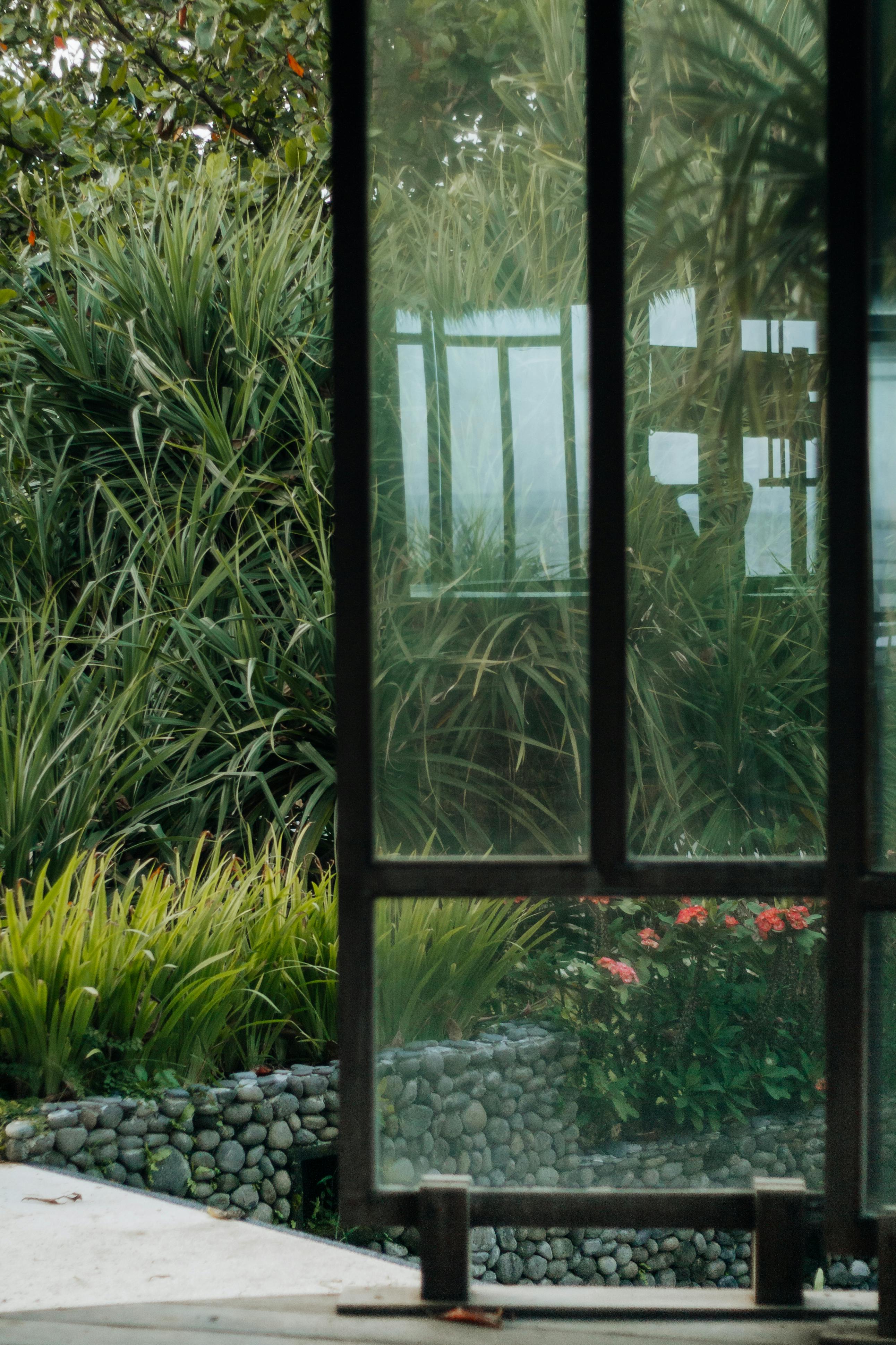 View of the Garden through a Window · Free Stock Photo