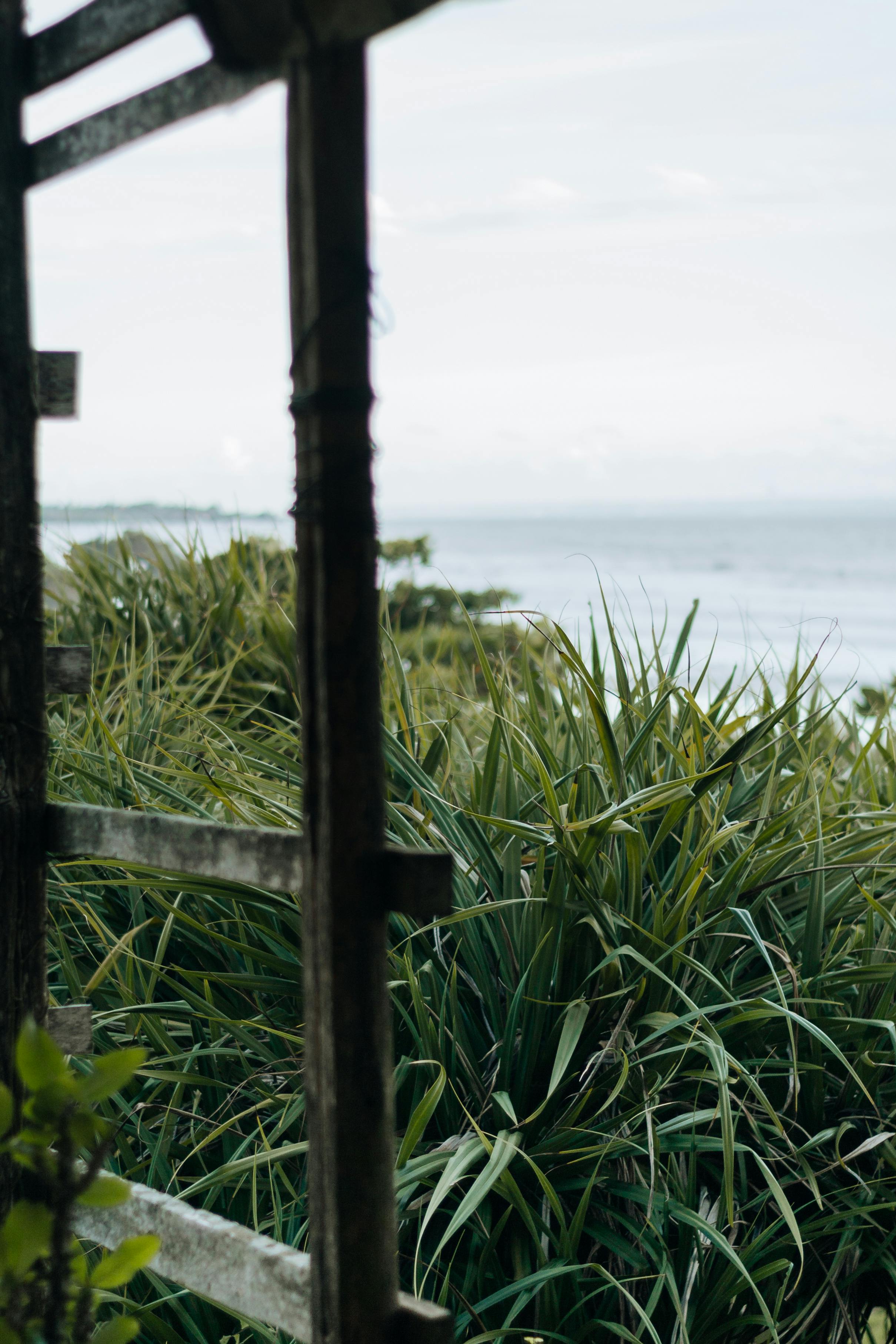 White Ladder into Water · Free Stock Photo