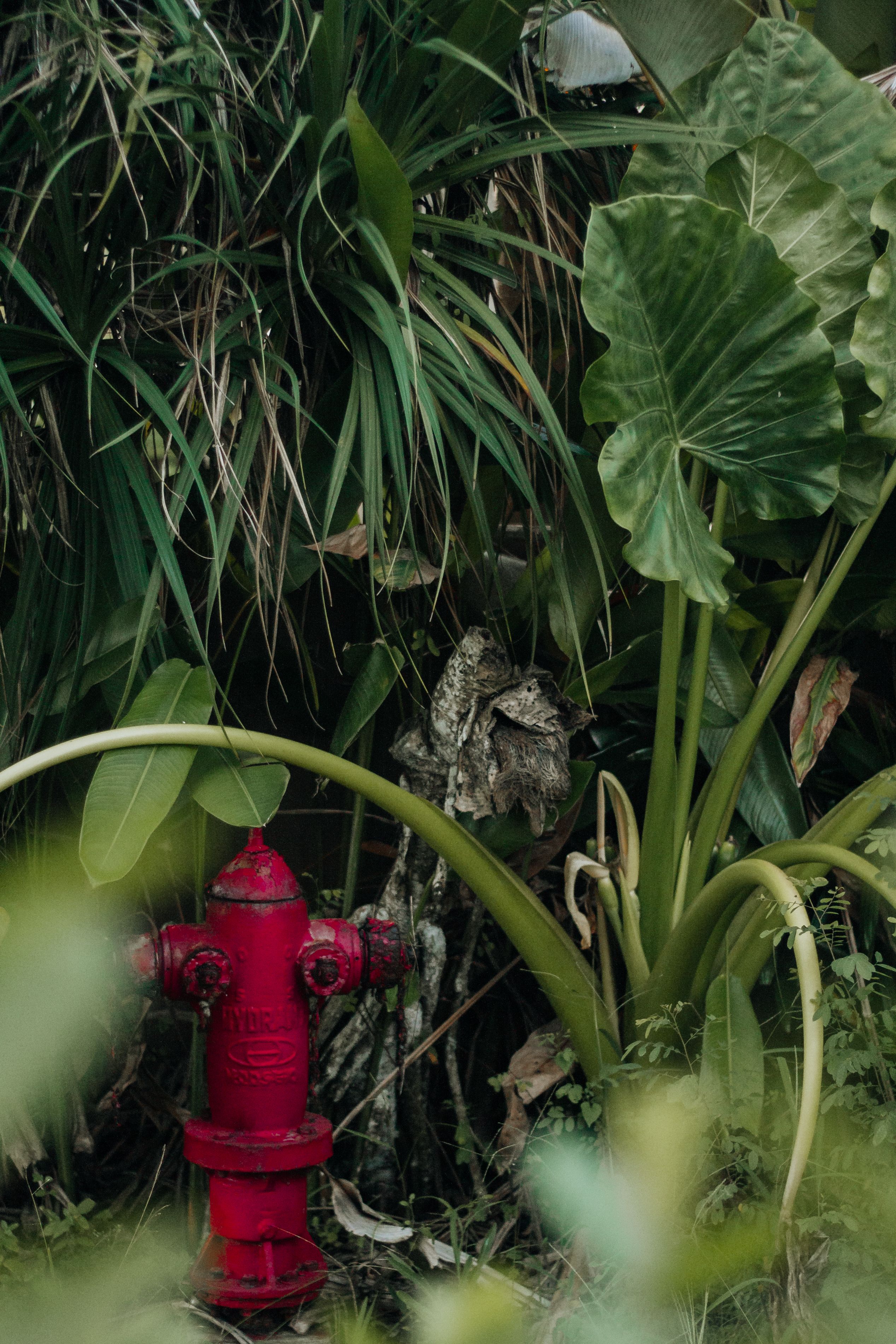 Gray Fire Hydrant on the Street · Free Stock Photo