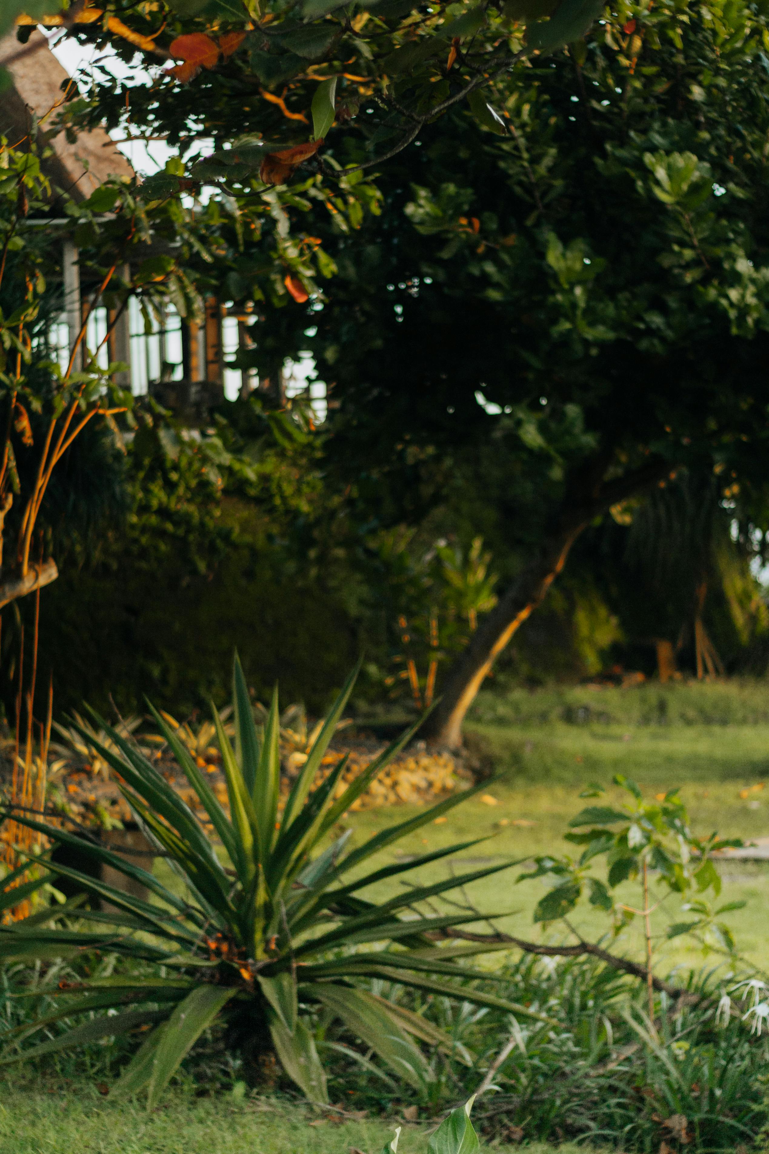 Abundant Prosperity Photos, Download The BEST Free Abundant Prosperity ...