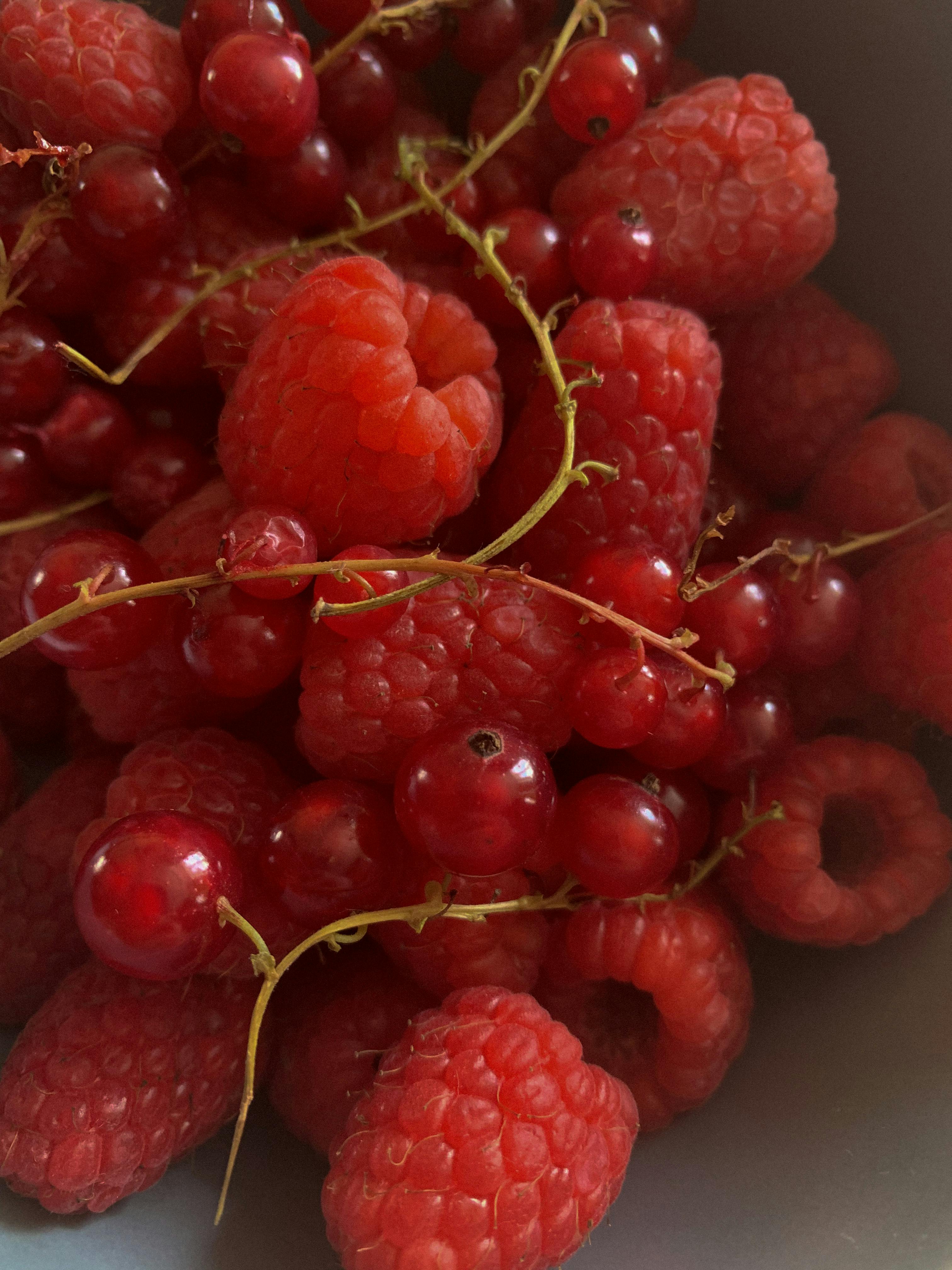 Red Round Fruit · Free Stock Photo