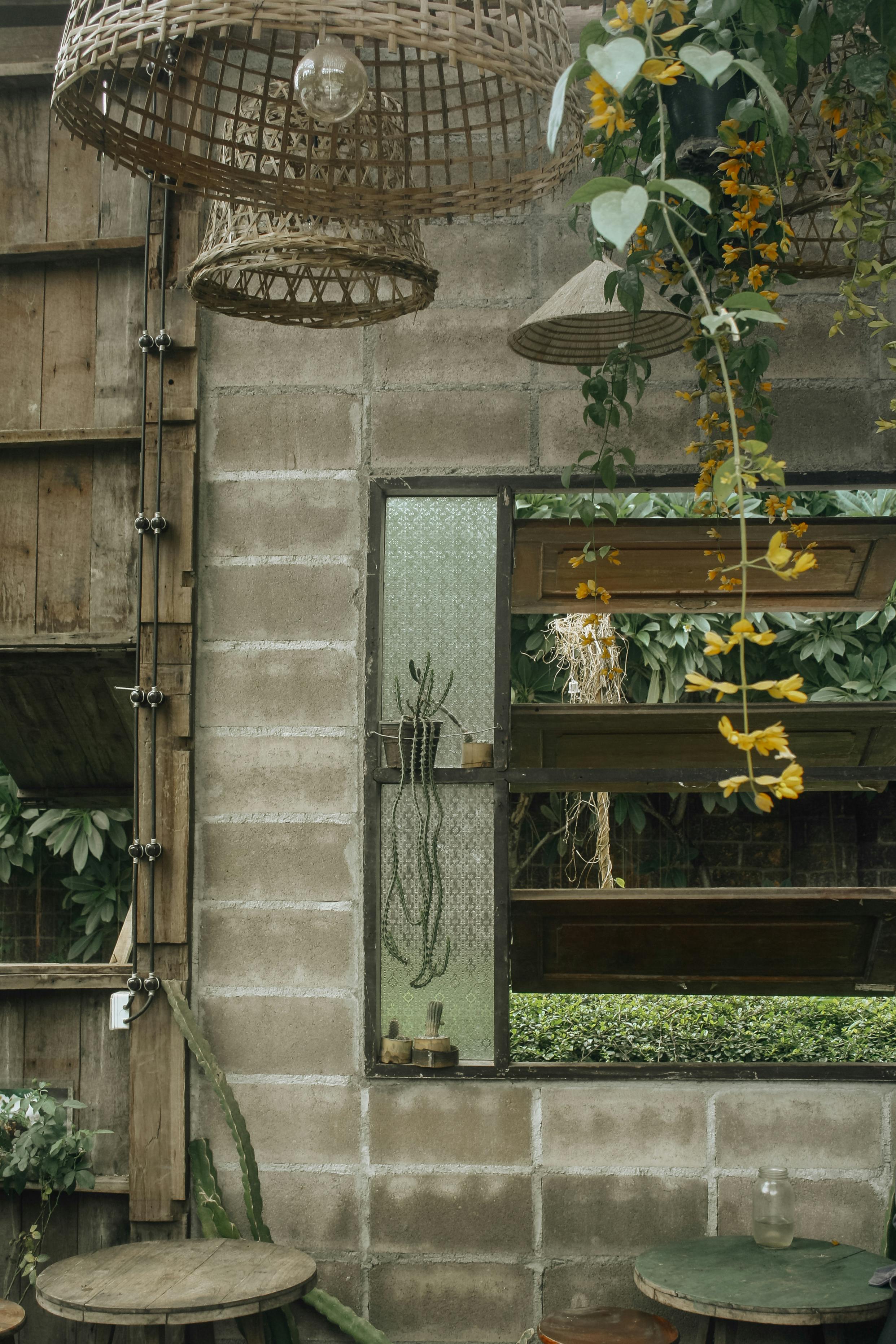 Climber Plant on Railing · Free Stock Photo