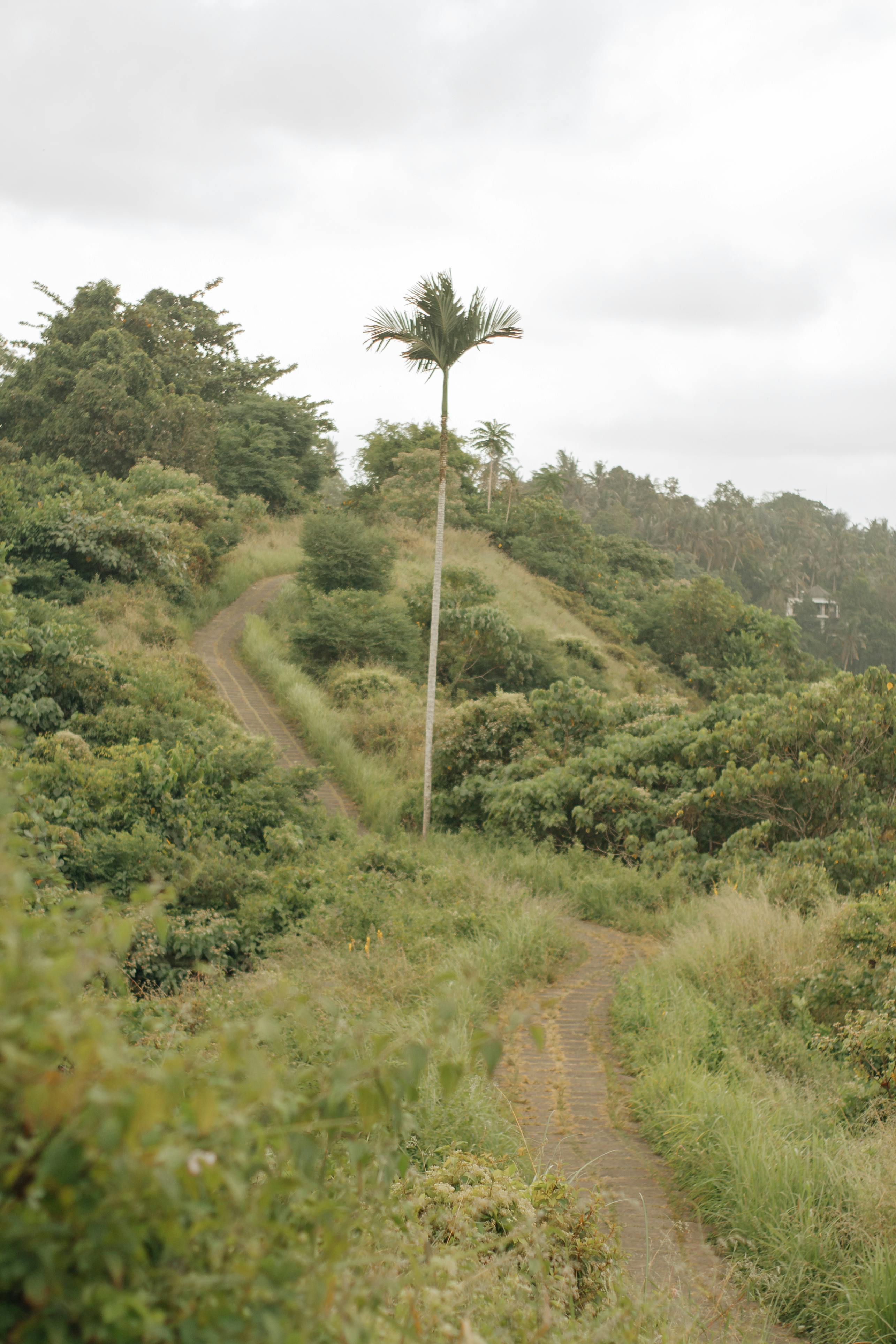 Photo of Pathway Near River · Free Stock Photo