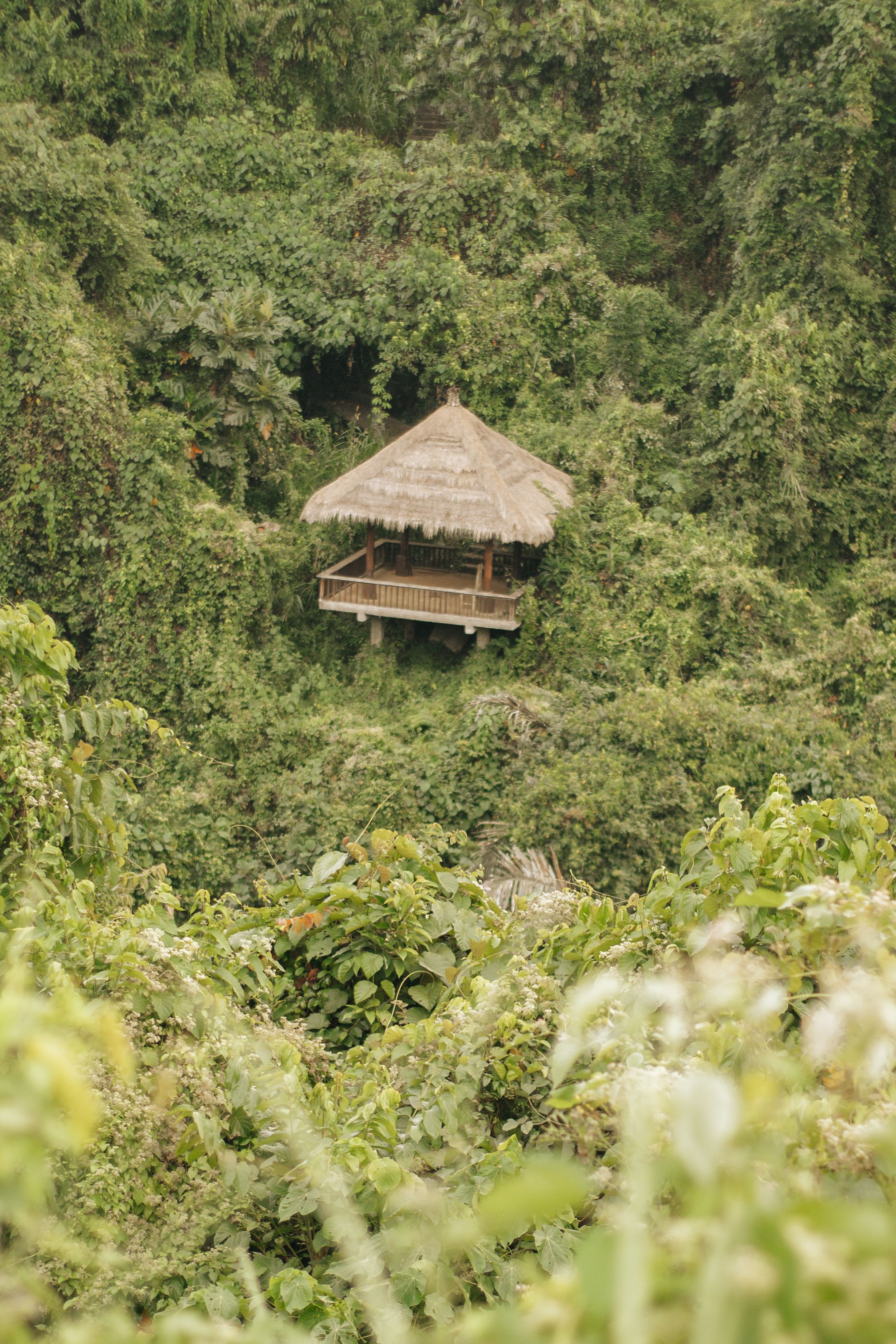 Nipa Huts on a Village · Free Stock Photo