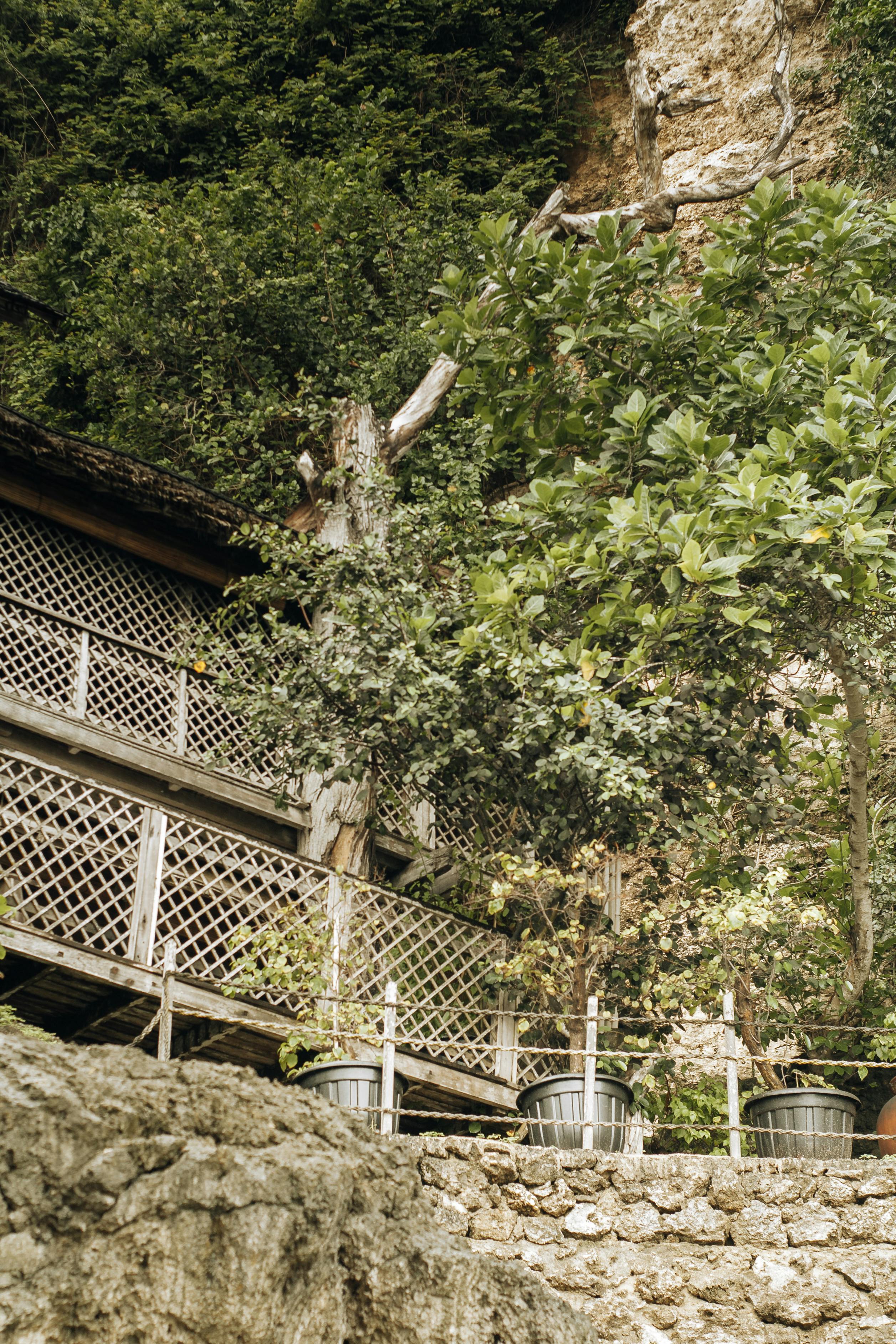 Poultry House Photos, Download The BEST Free Poultry House Stock Photos ...