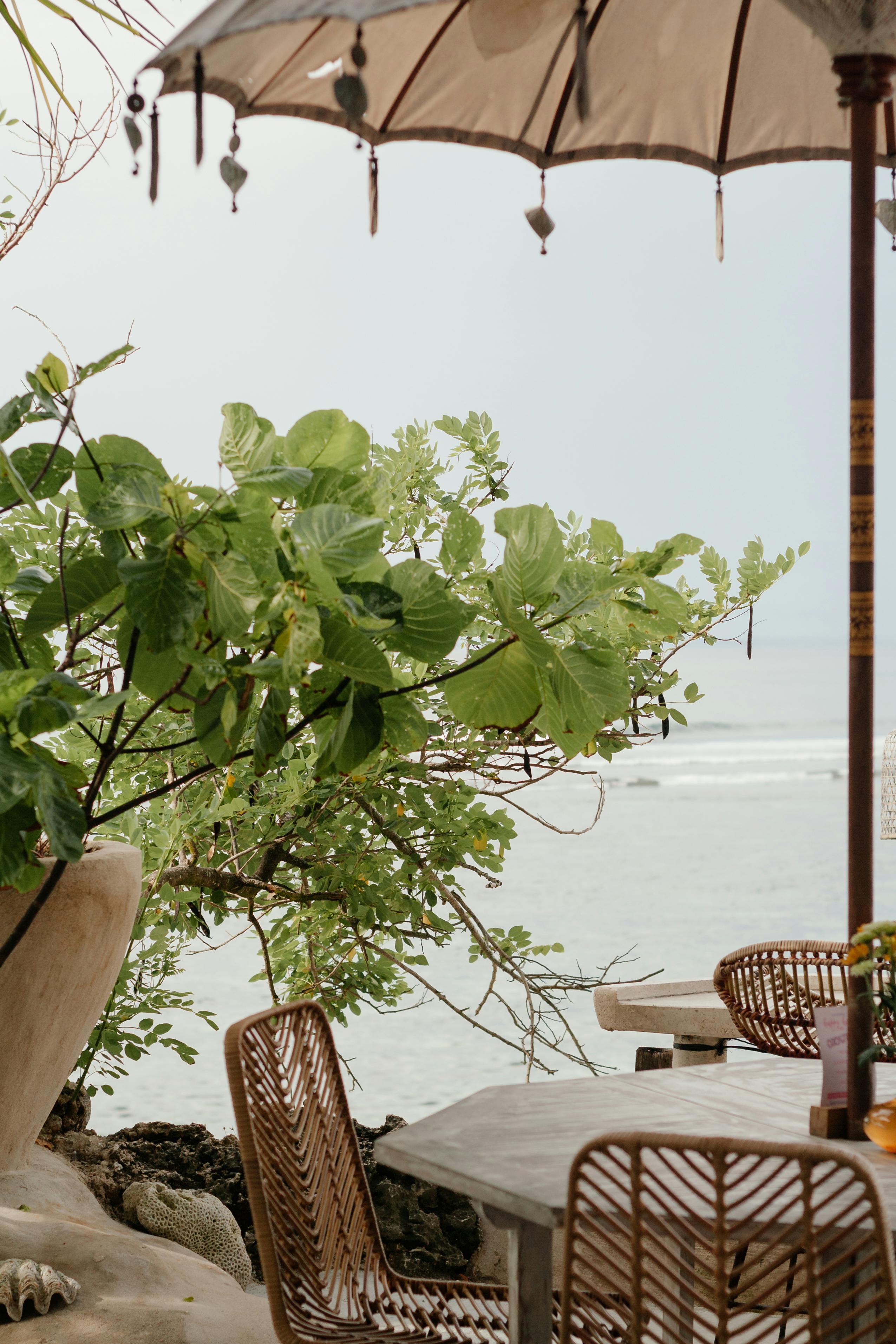 Beach Cafe Photos, Download The BEST Free Beach Cafe Stock Photos & HD ...