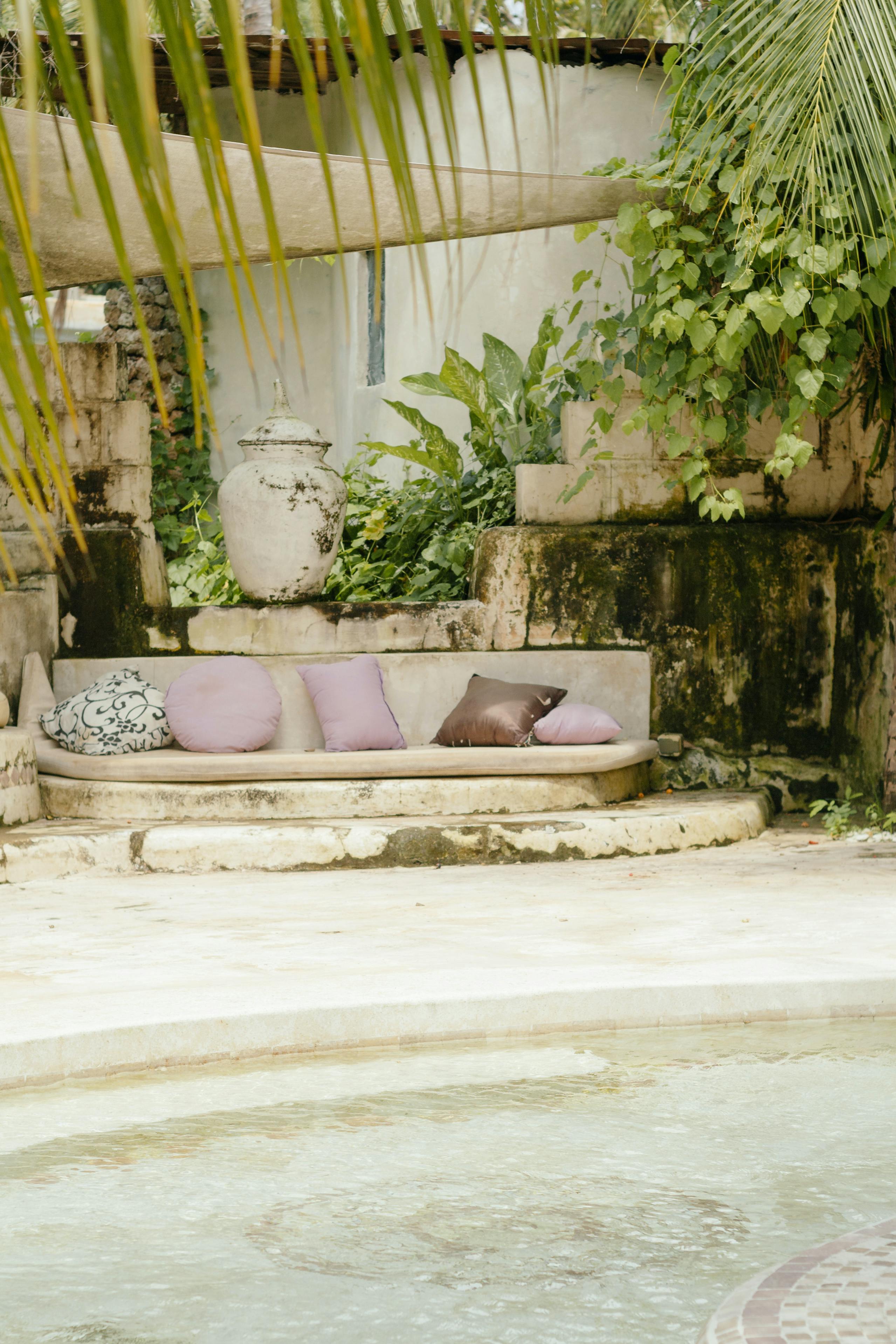 Plants Calm Photos, Download The BEST Free Plants Calm Stock Photos ...