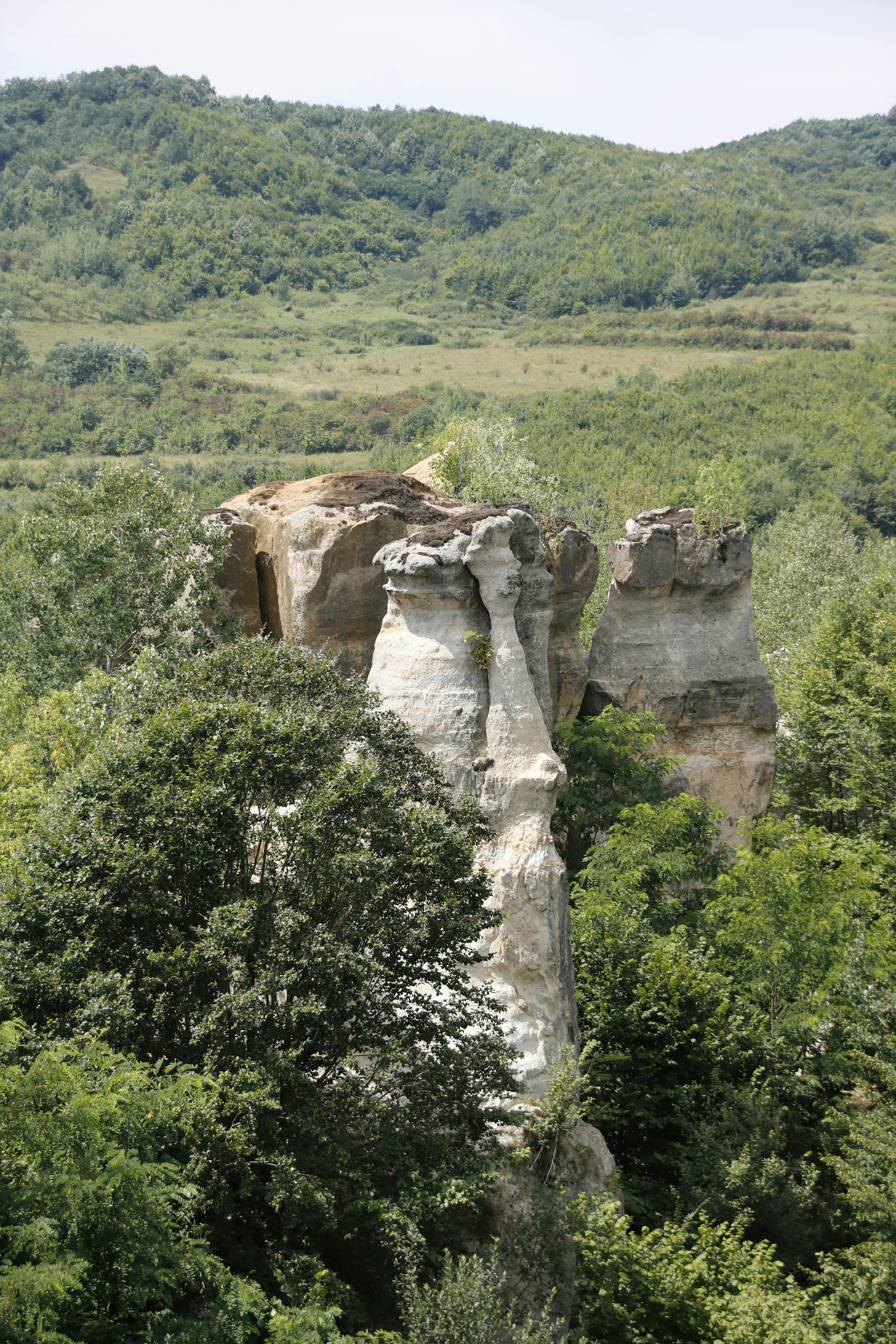Rock Formation in the Forest of Romania · Free Stock Photo