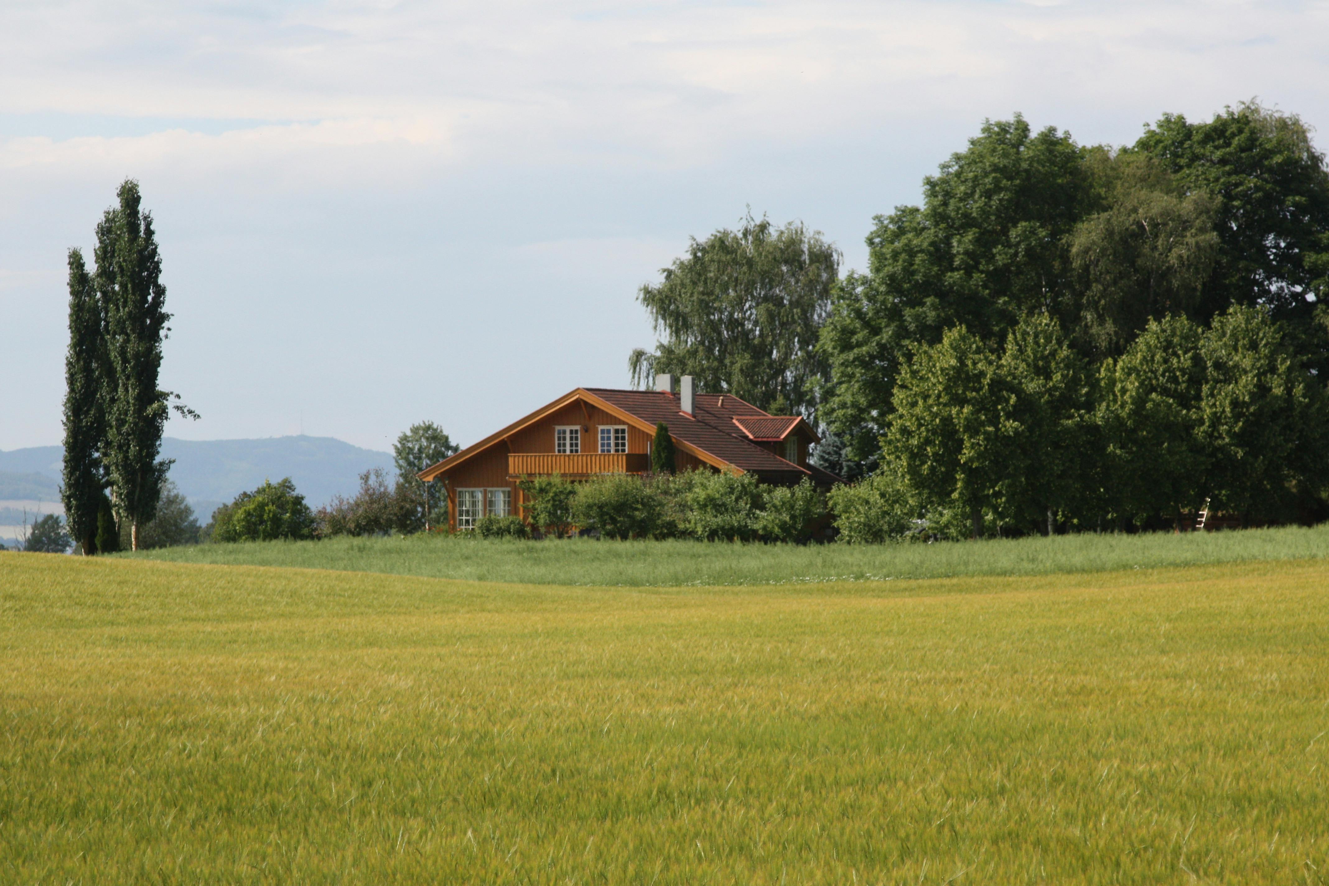 Farm House Near Tall Trees · Free Stock Photo