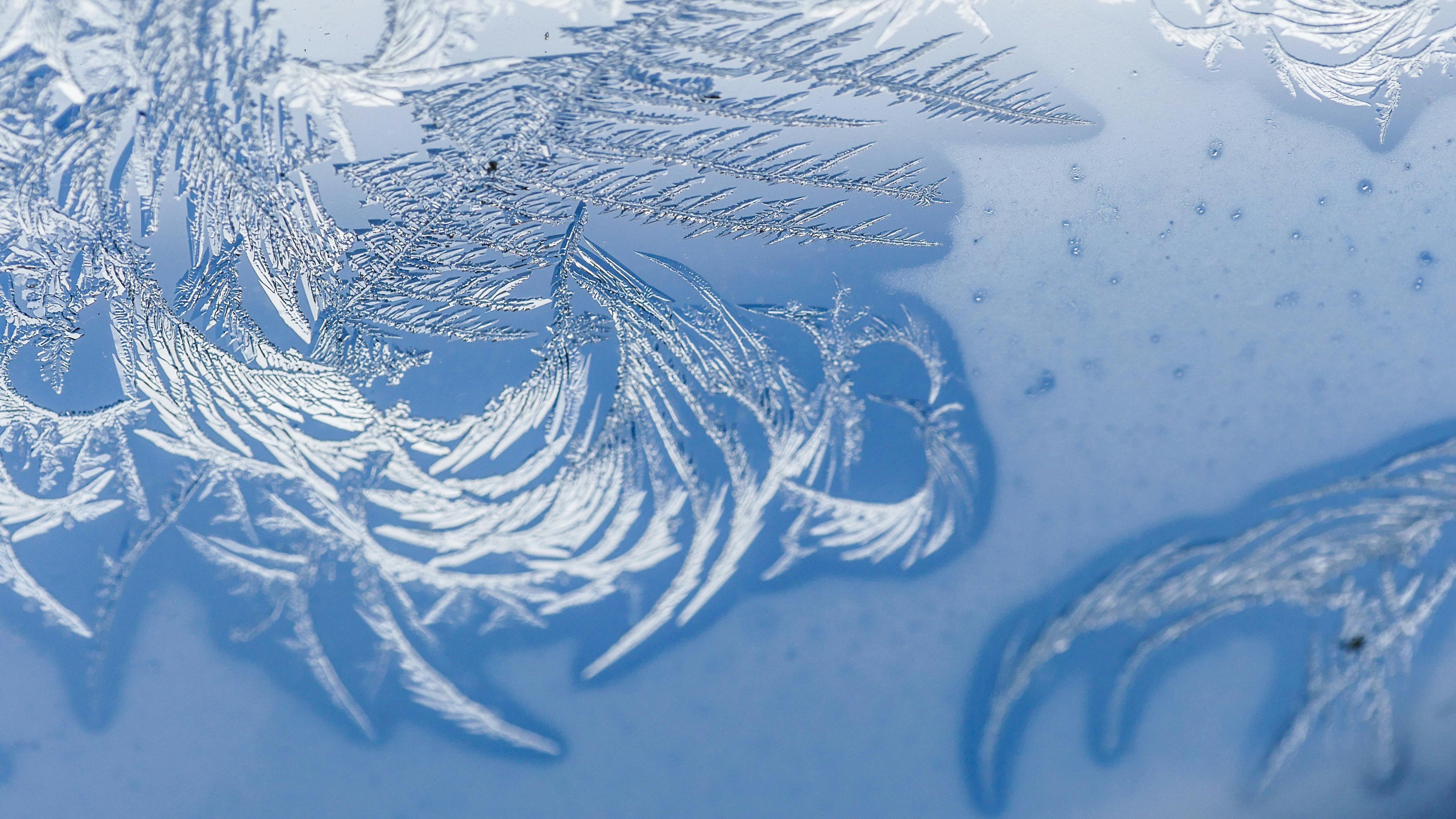 Free stock photo of blue, cold, frost