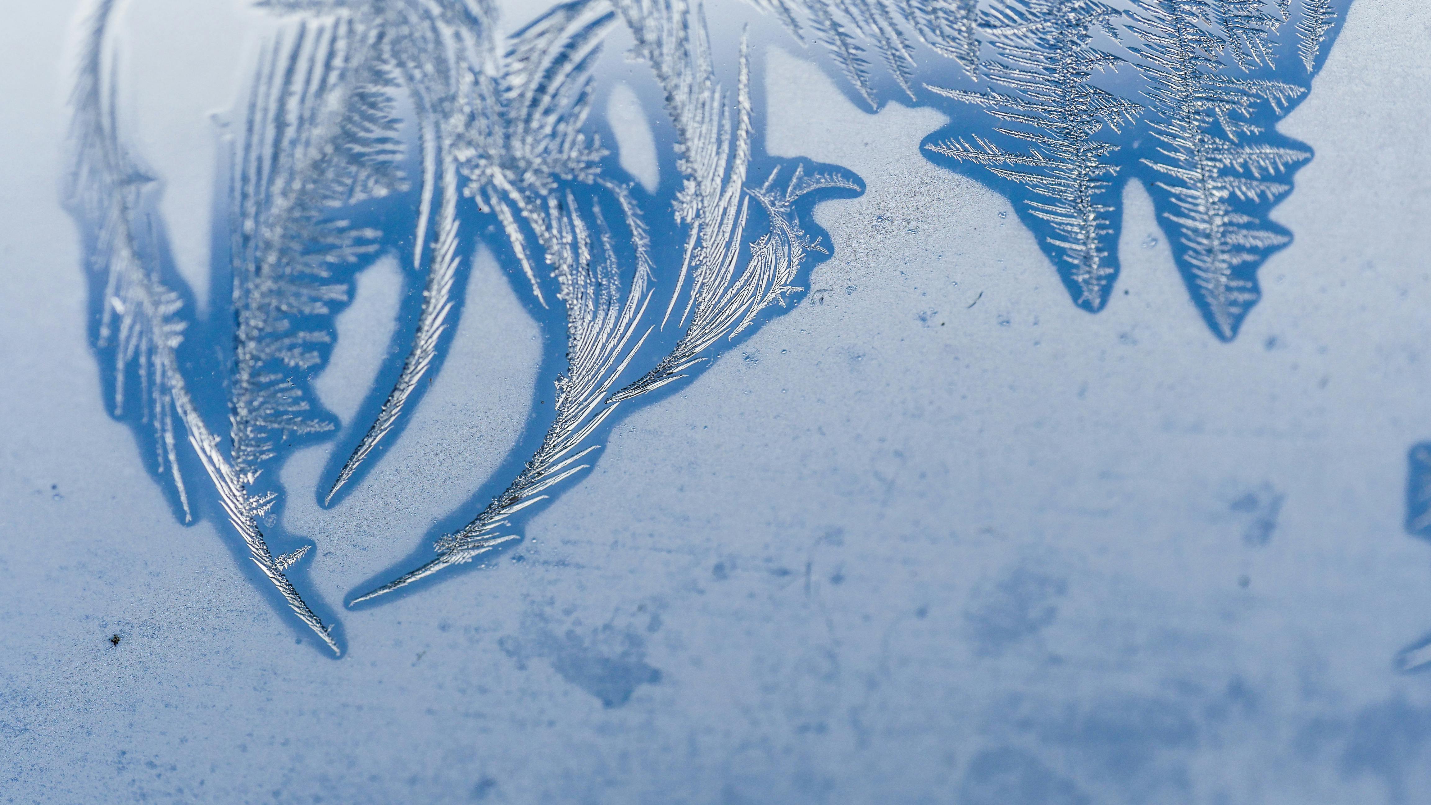 Free stock photo of blue, cold, frost