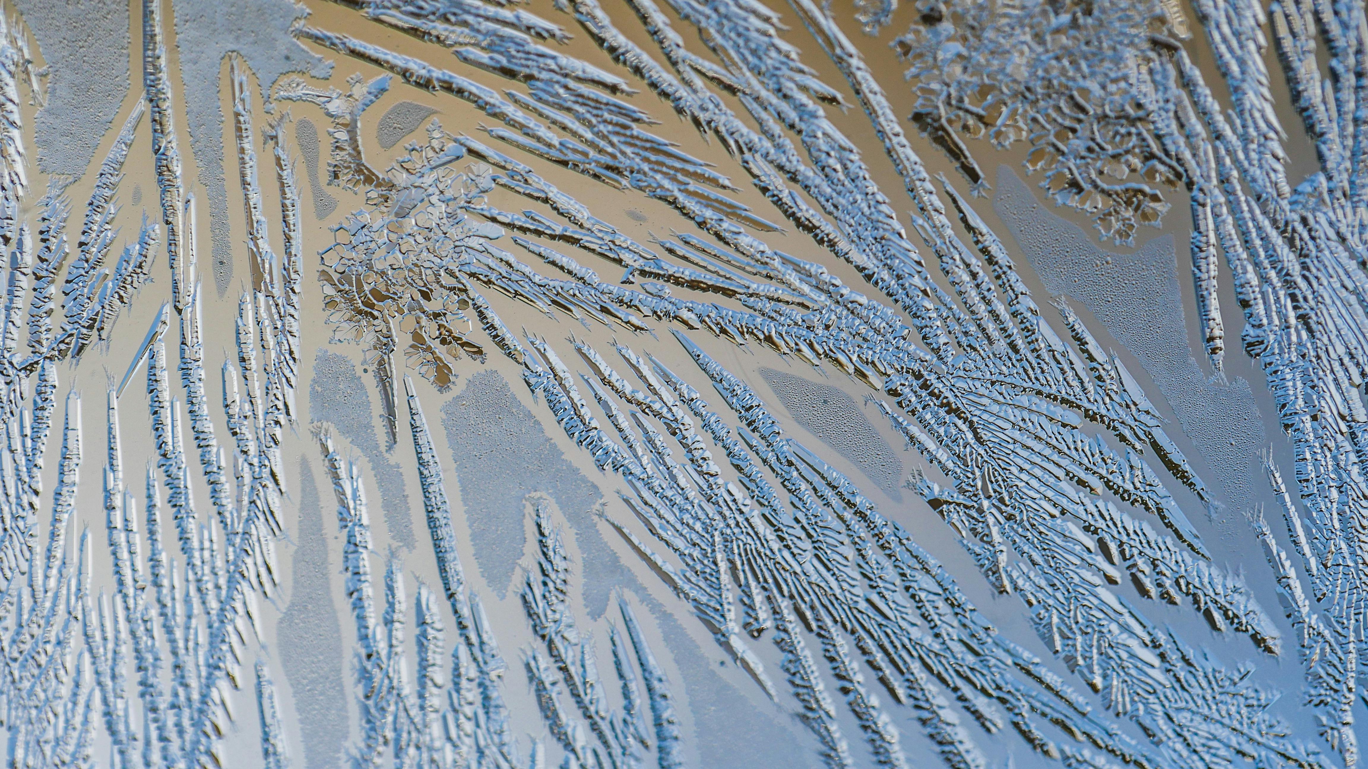 Free stock photo of cold, frost, ice