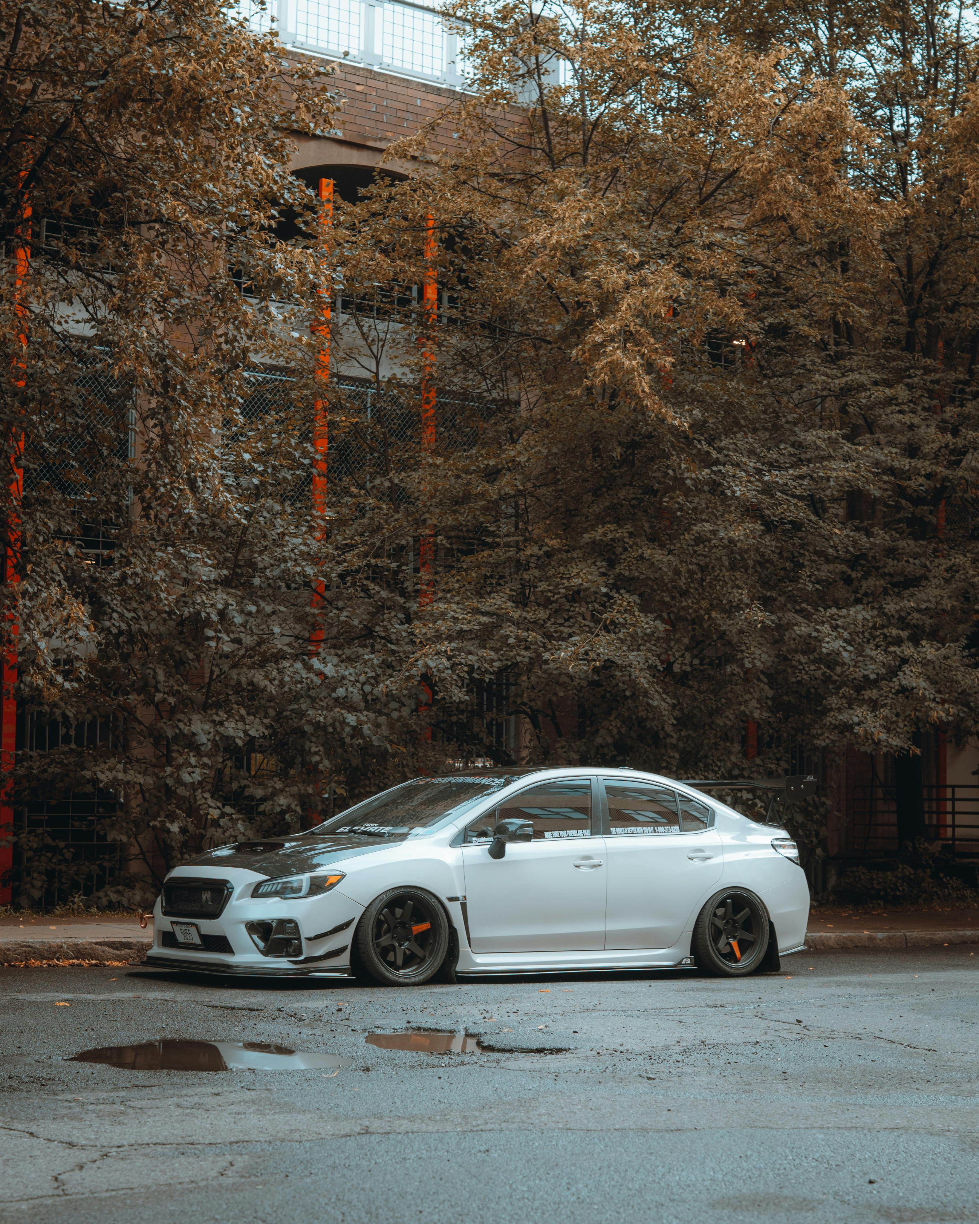 Car on Street near Trees · Free Stock Photo