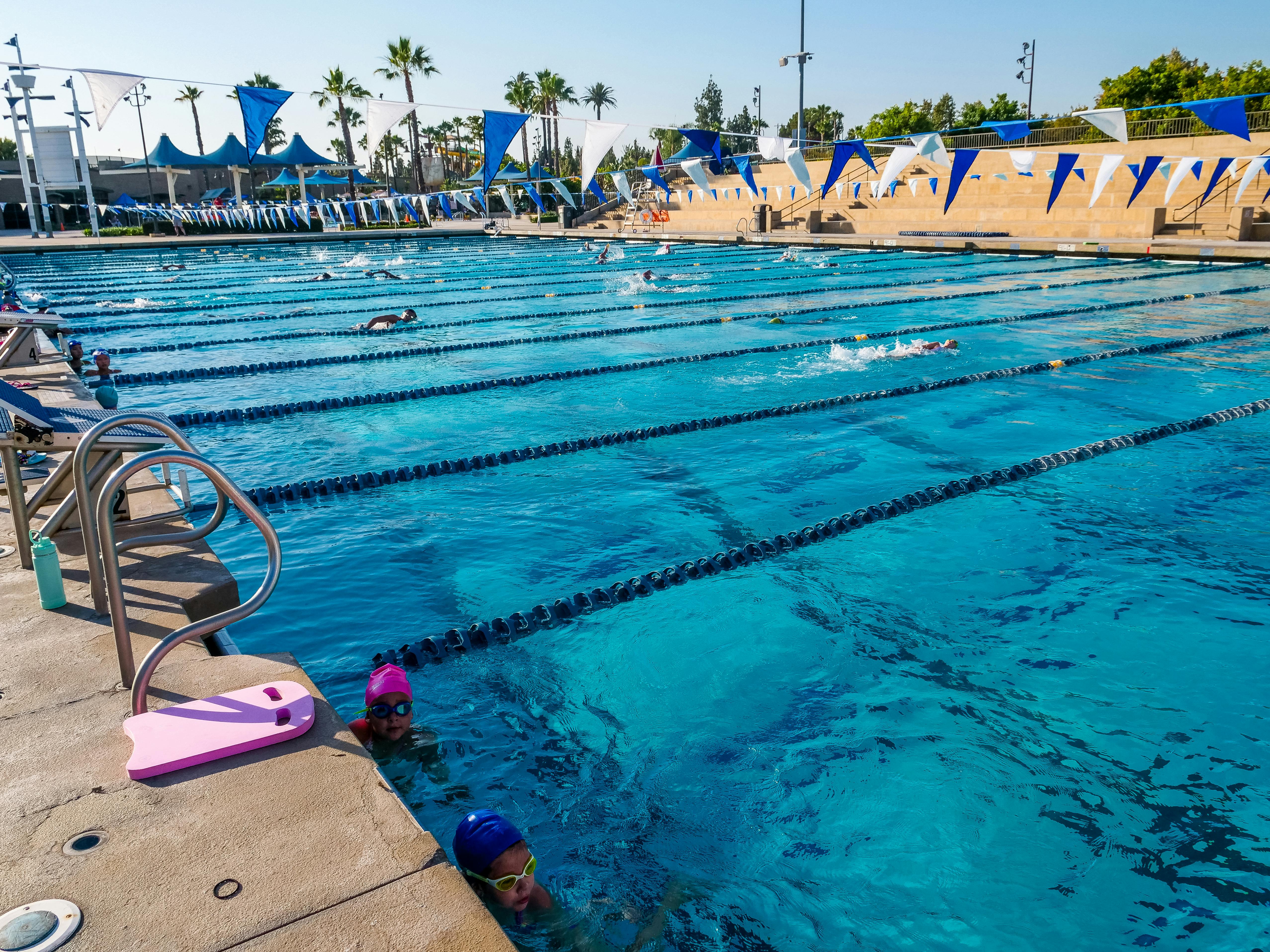 People in Swimming Pool · Free Stock Photo