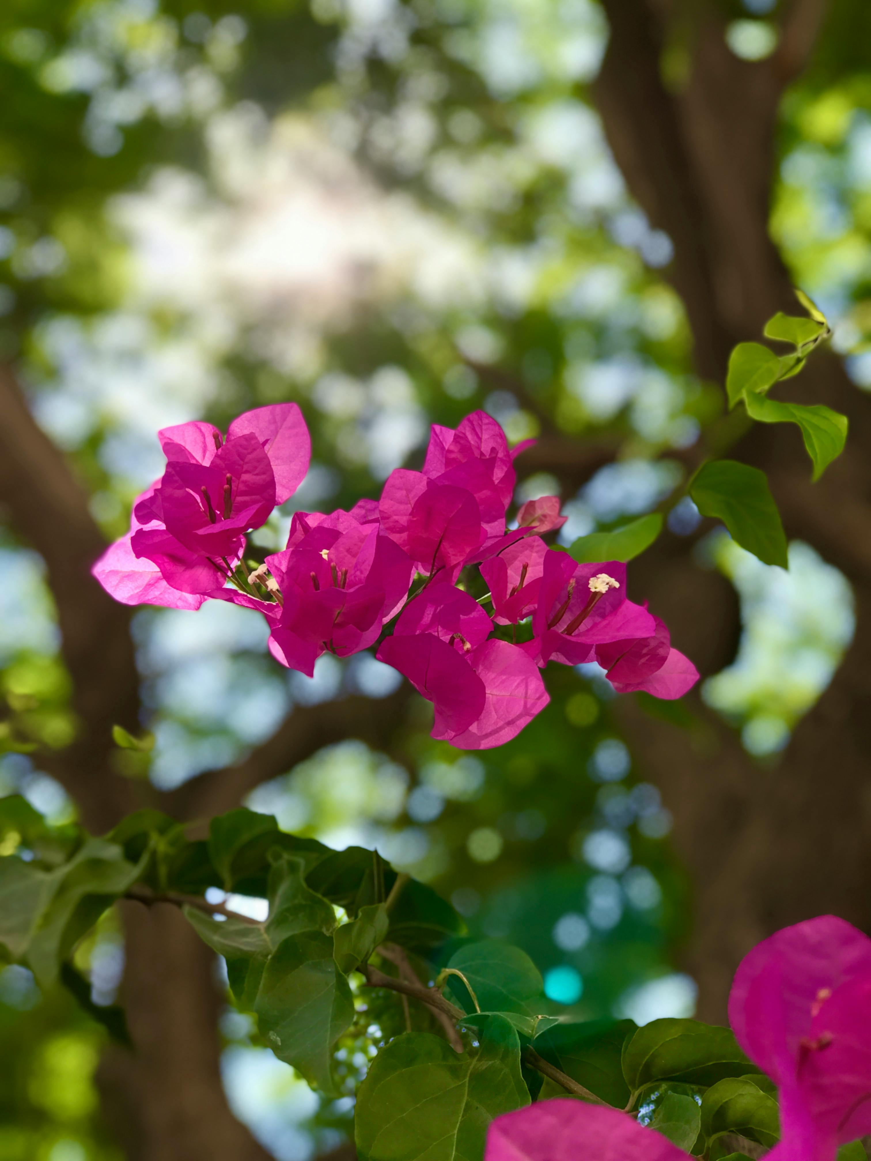 Emad El Byed - Photography