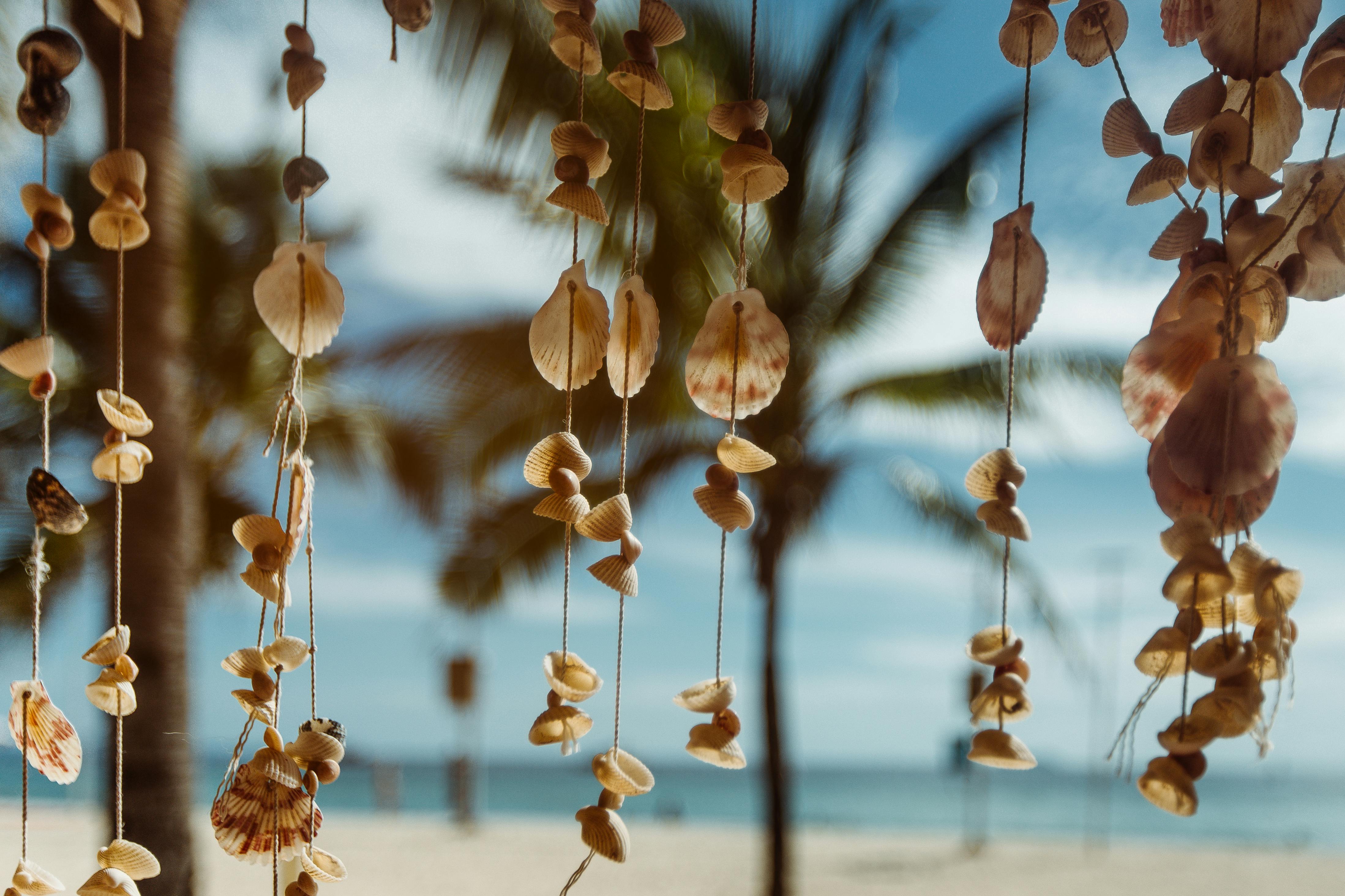 Close Up Photo of Seashells on Strings · Free Stock Photo