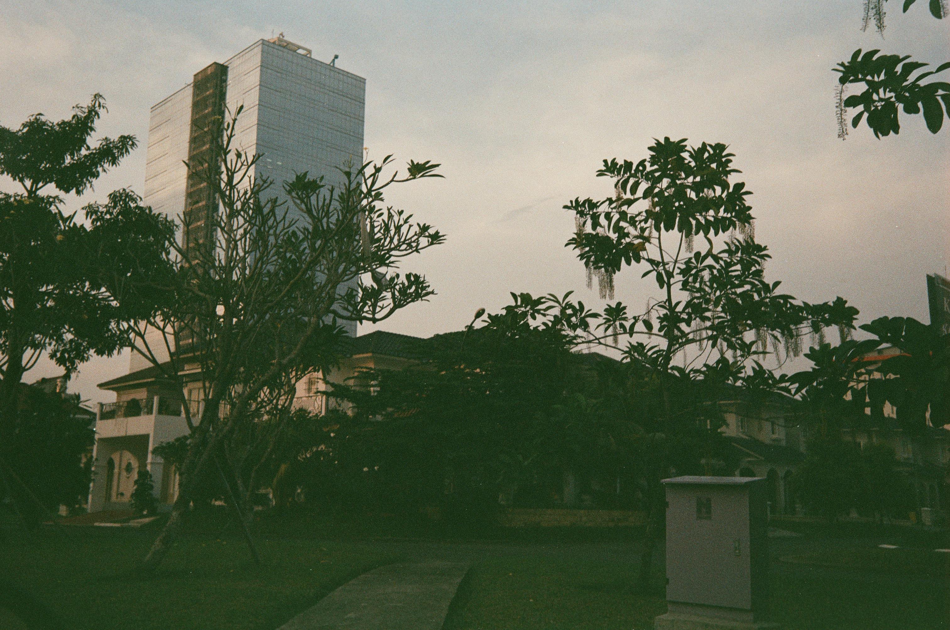 Green Trees Near a High Rise Building · Free Stock Photo