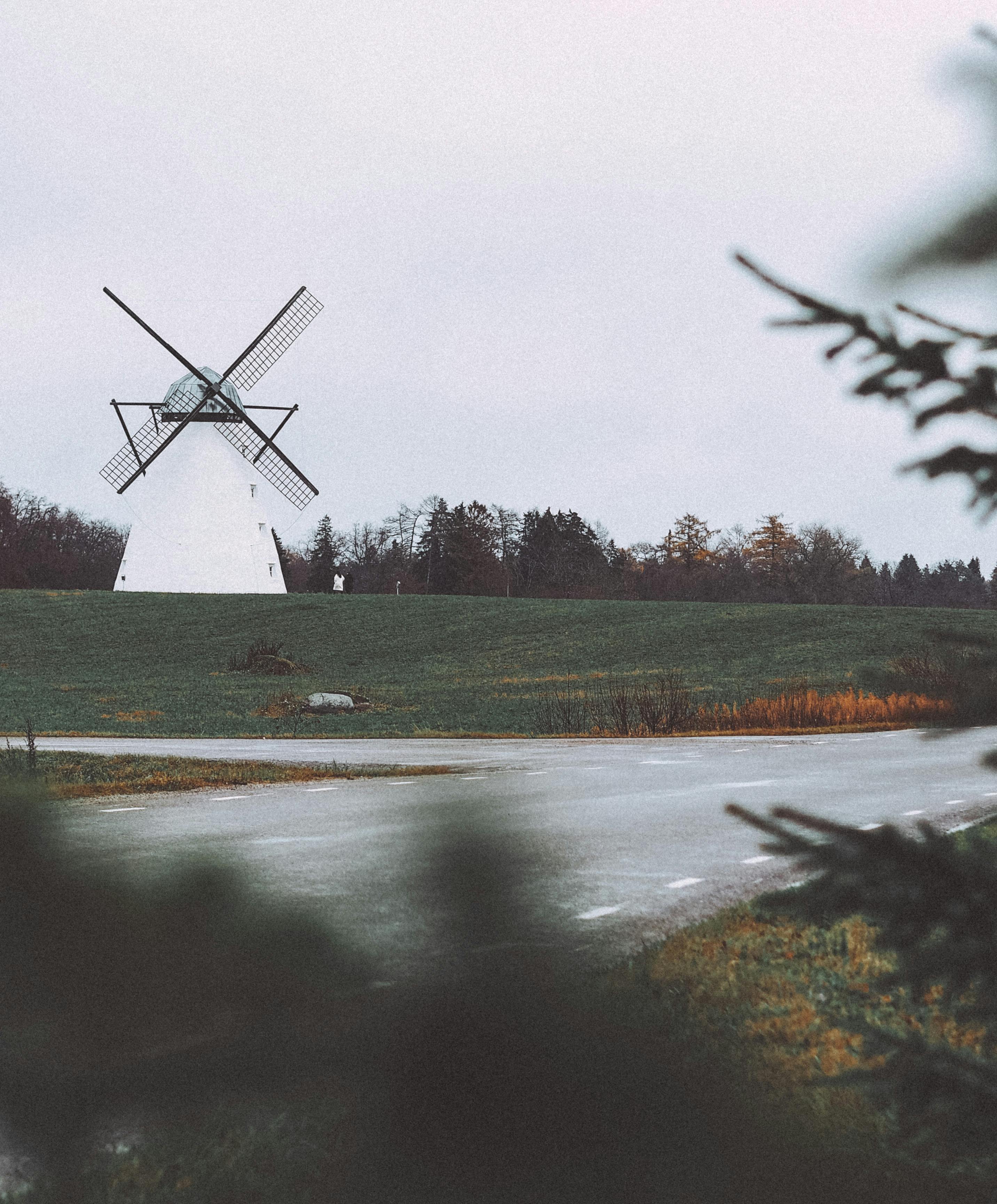 Rotating Trees Photos, Download The BEST Free Rotating Trees Stock ...